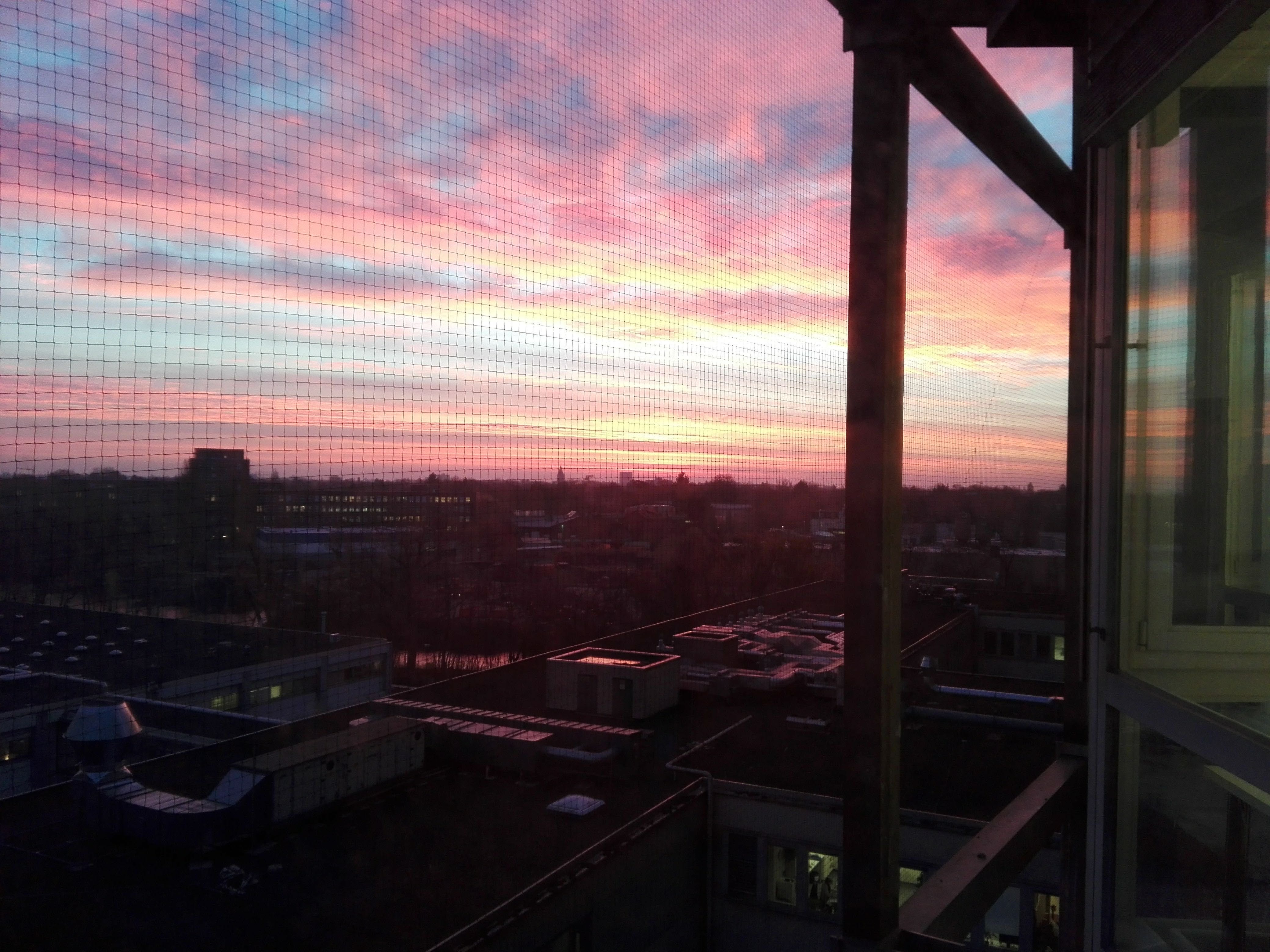 Cada 25 de septiembre - by Helena Farré Vallejo - PLANTA34