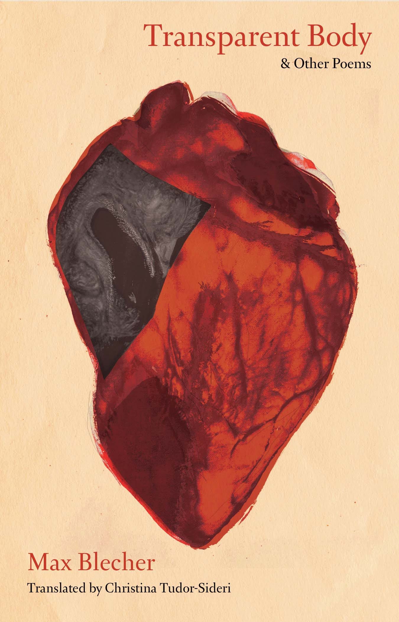 The Lighted Burrow and Transparent Body by Max Blecher, translated by ...