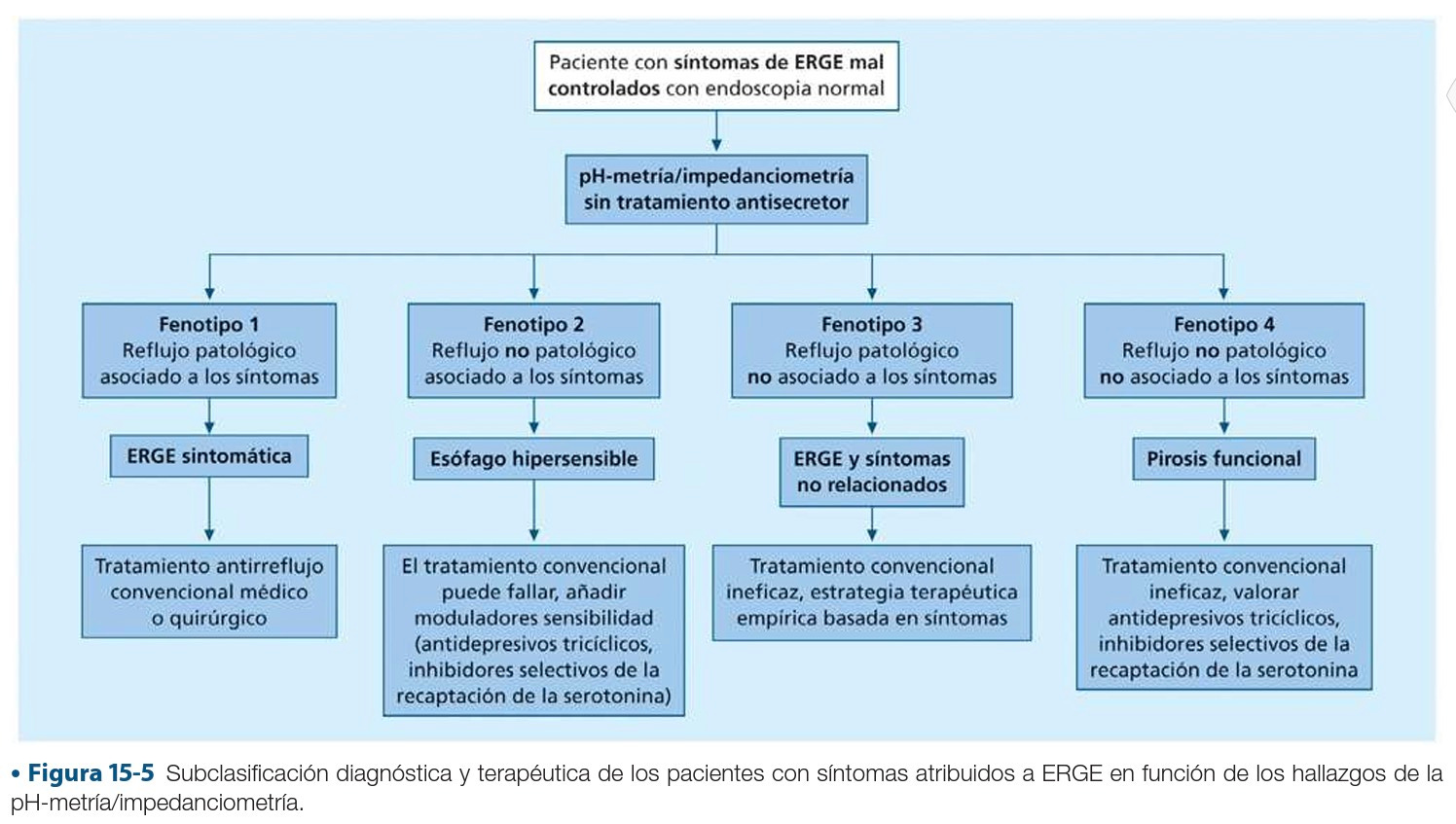 Enfermedades del esófago - by Harold Ferraz