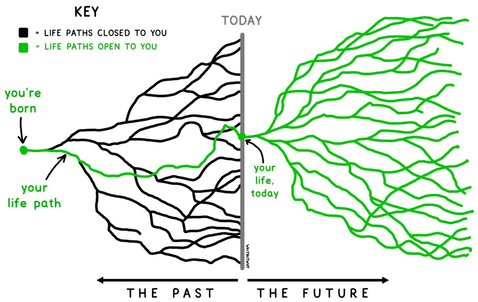 Life's Infinite Paths - by Mark Koslow and Lyle McKeany