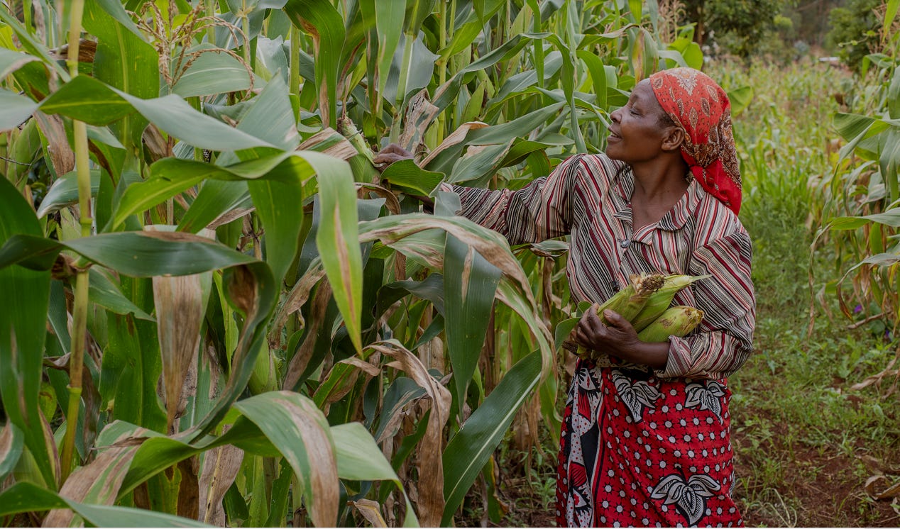 Apollo Agriculture is building a pathway to commercial farming