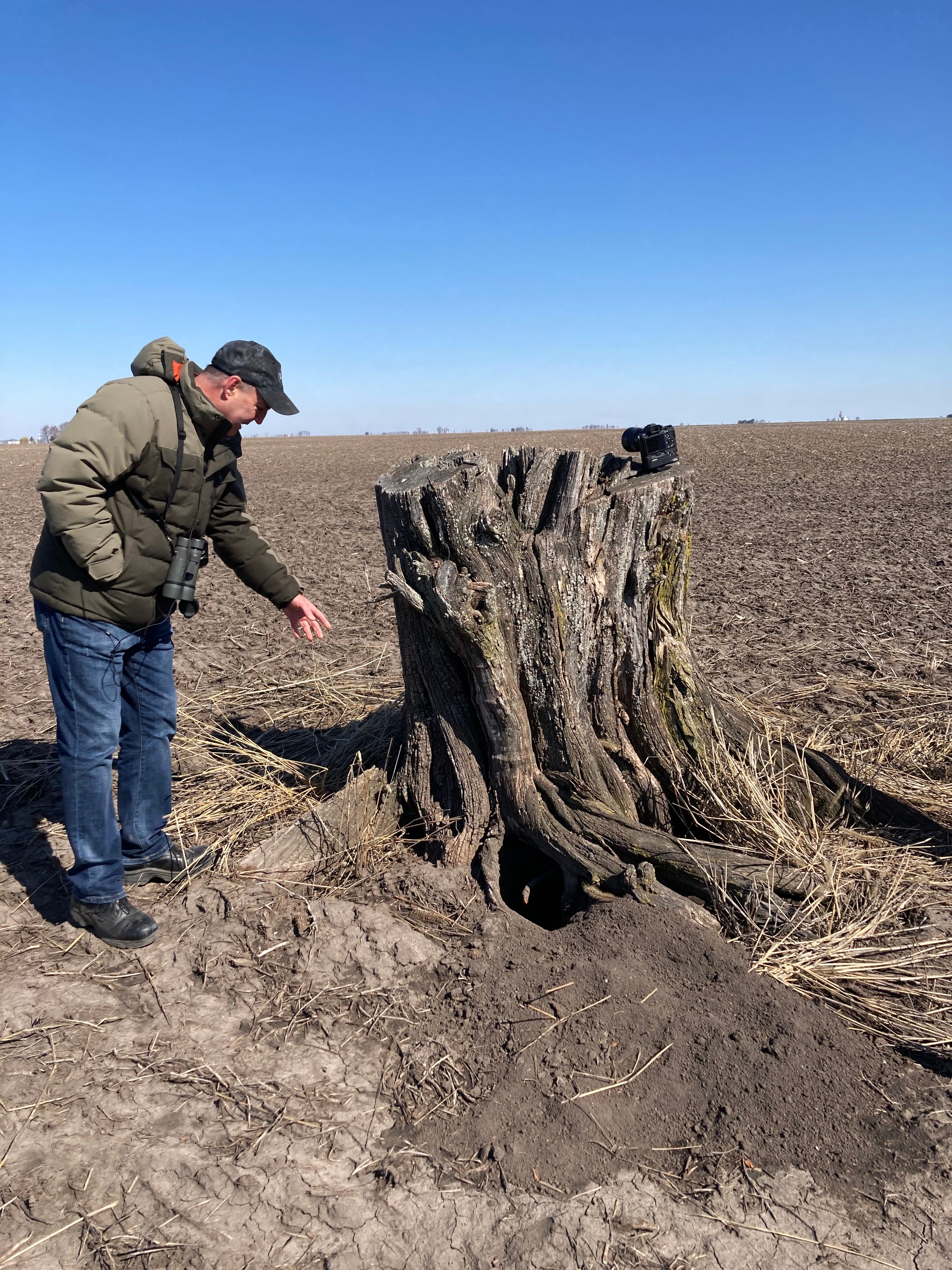 The mysteries of The Magic Stump - by Bob Dolgan
