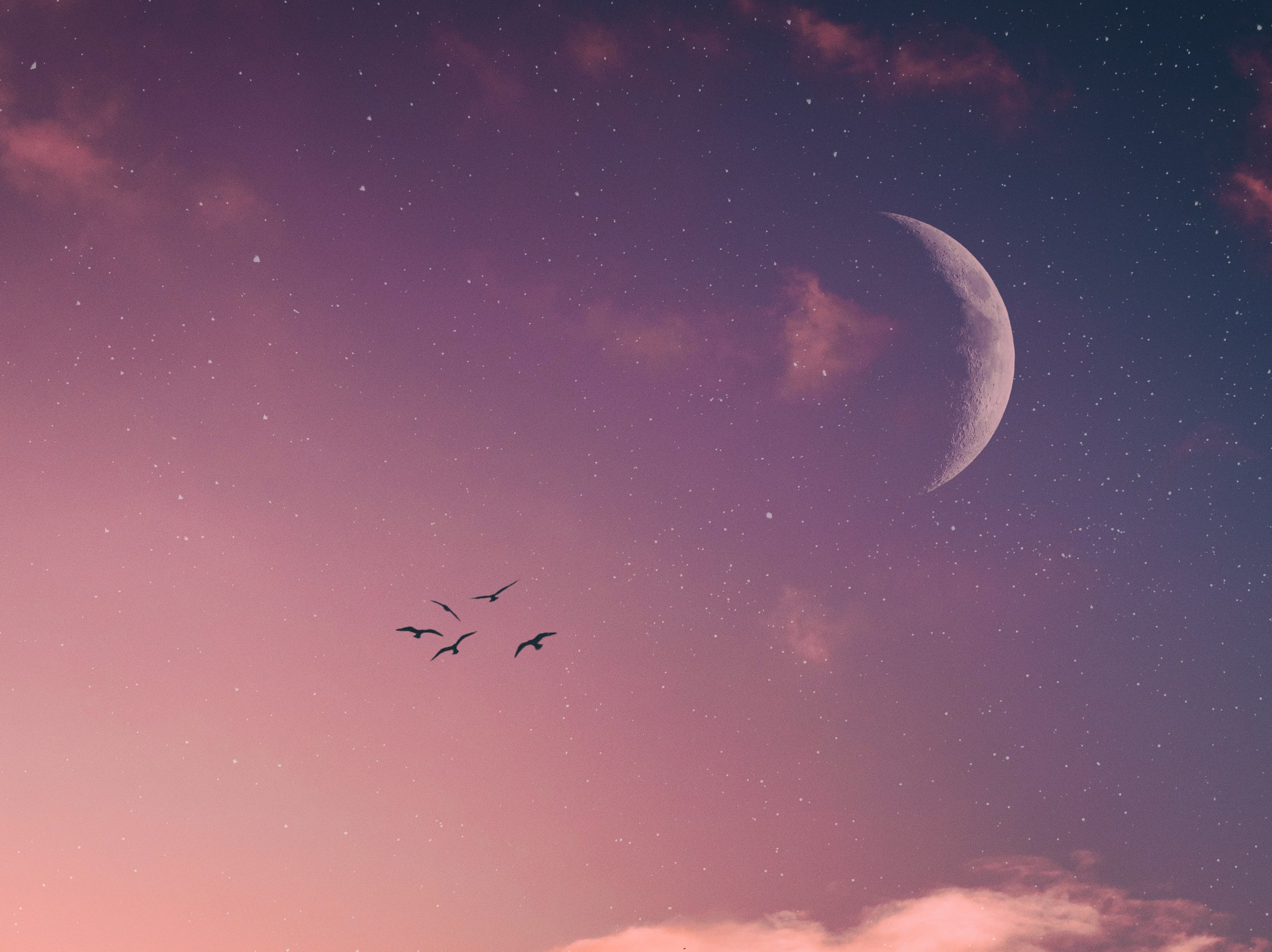 New Moon Rising - by Michelle Corbesier - Astrum Opus