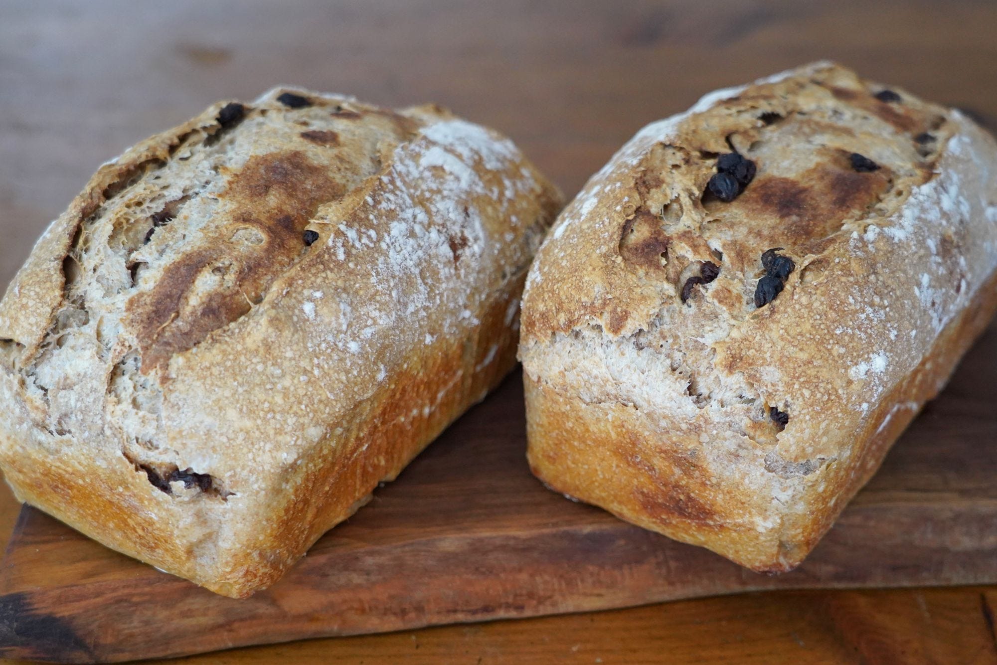Recipe: Spartan Bread - by Mike Elgan - The Spartan Diet