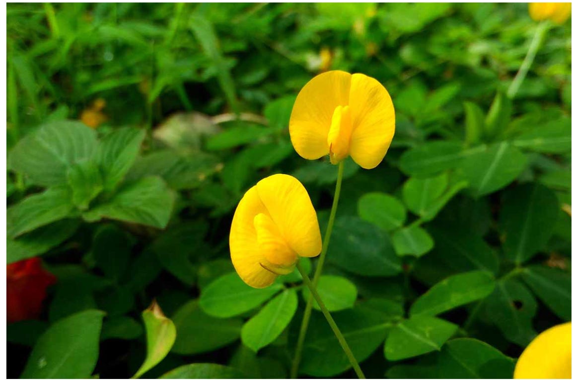 Beantown - by Mark Dolan - Why Living Today Rocks