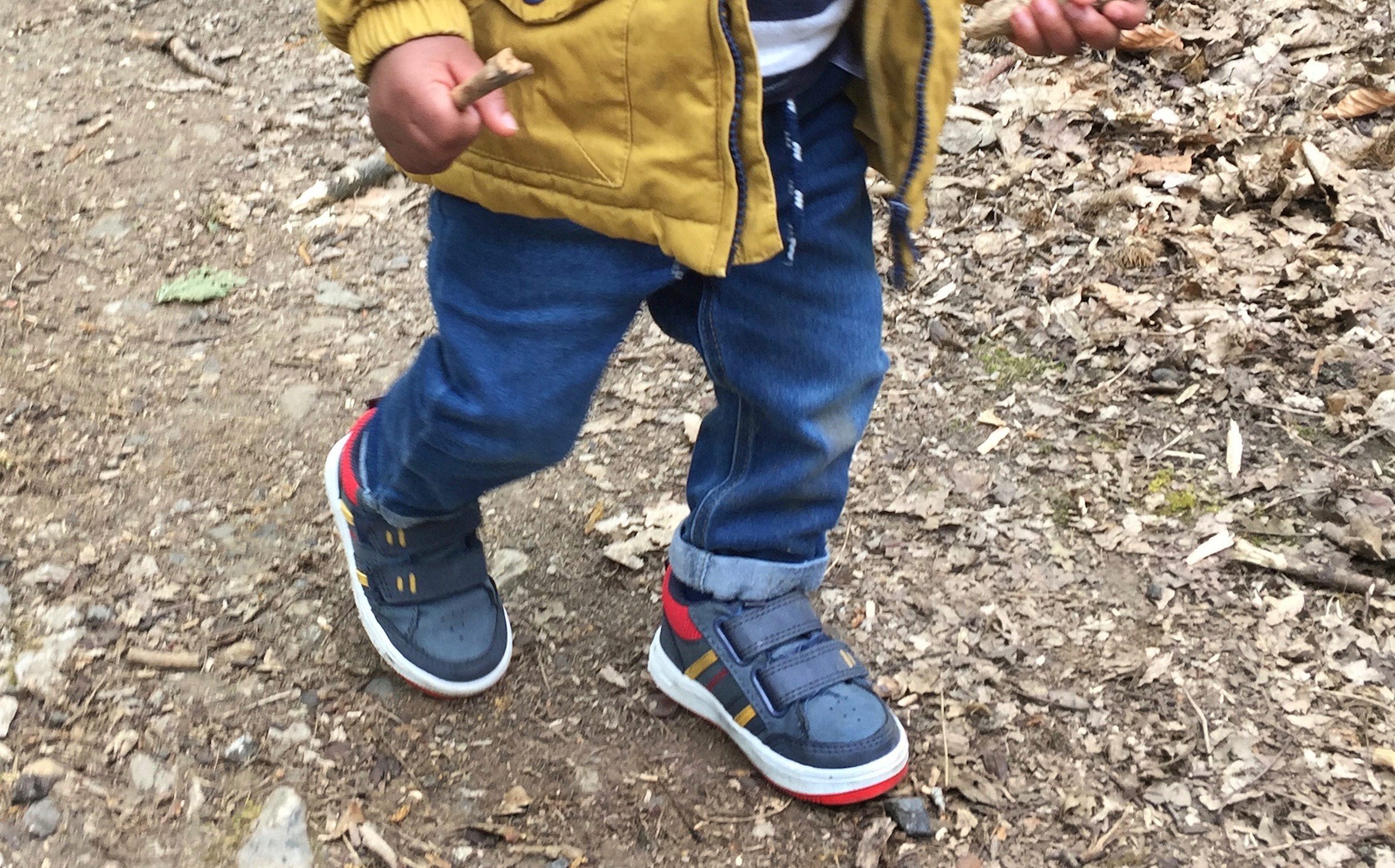 How To Walk - by David Bocking