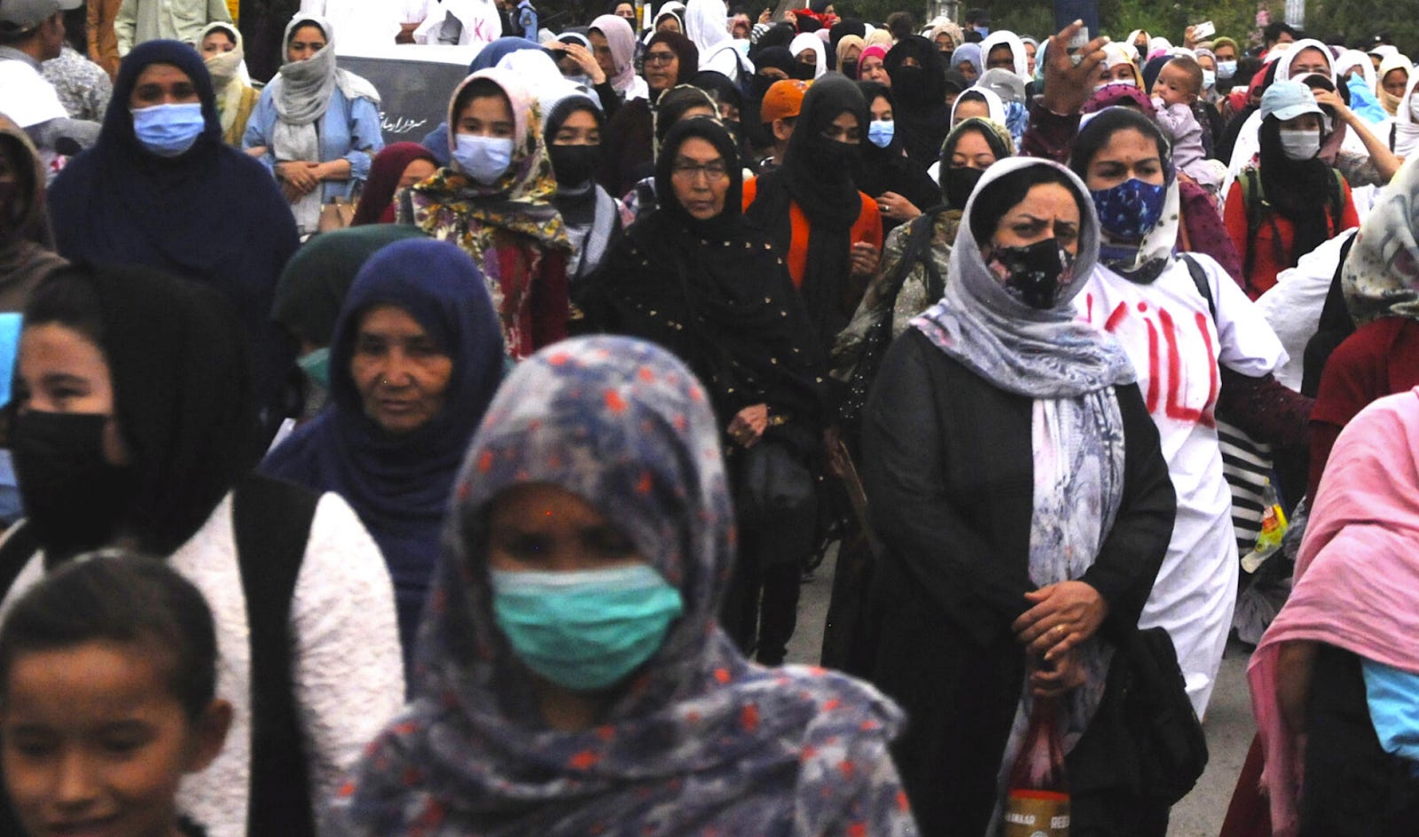 Daily Evacuation Brief | November 8, 2022 - by Jason Hatch