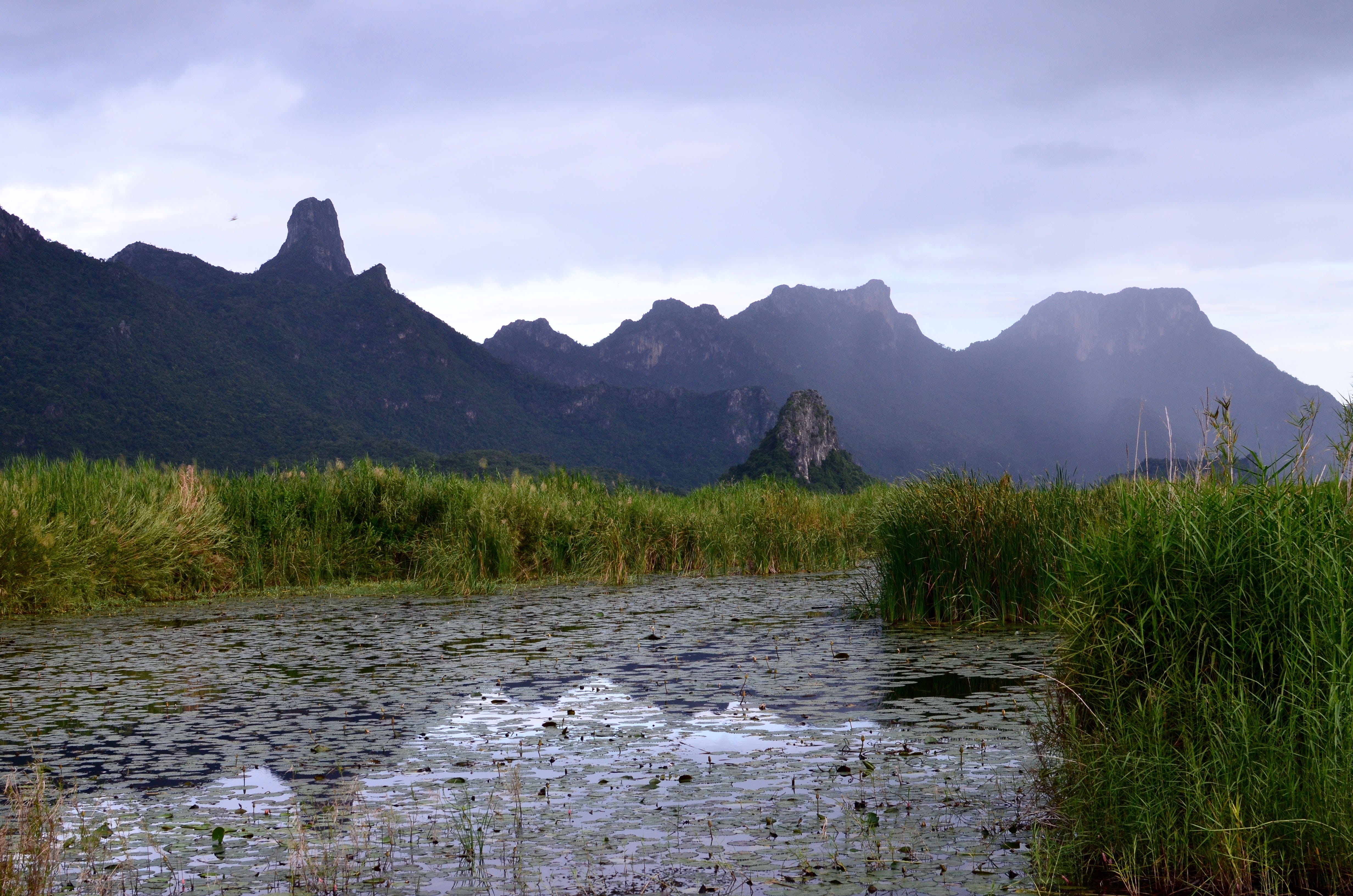 Khao Sam Roi Yot: Caves, cliffs, wetlands and shrimp farms