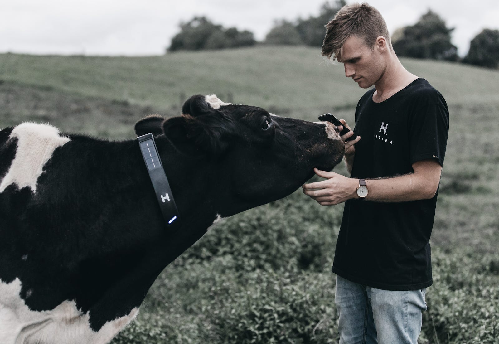 Backed by $23 million of fresh capital: Craig Piggott, Founder of Halter