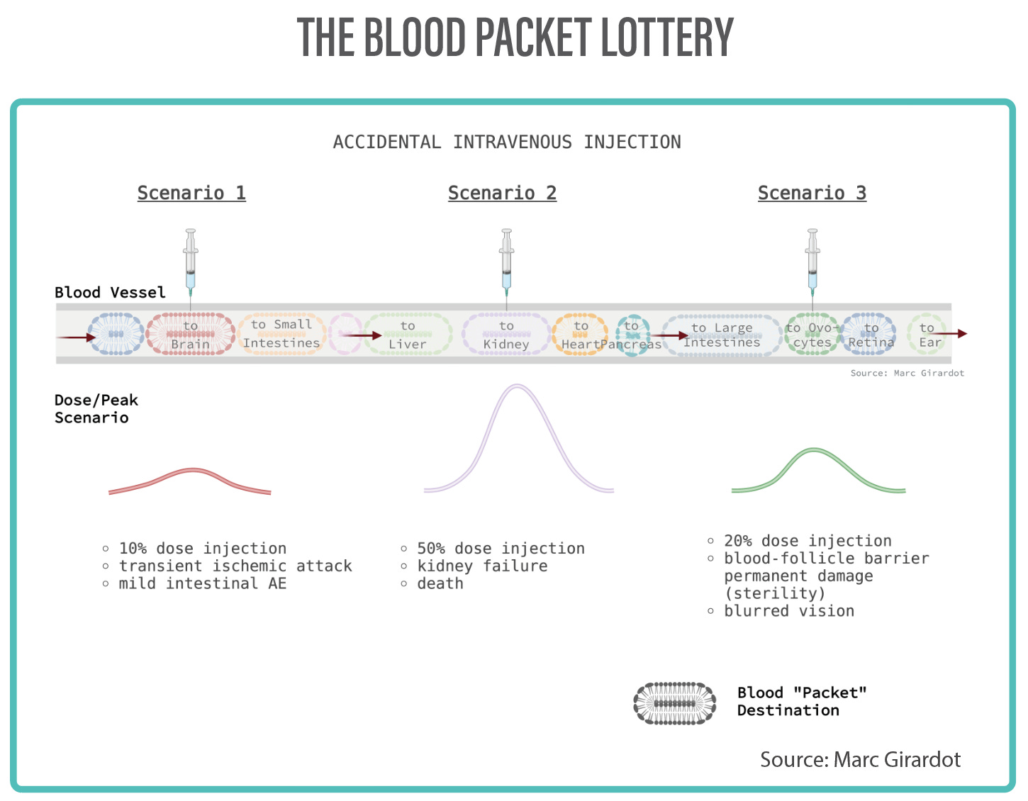 When and How Can Vaccine Particles Hurt You? - A Visualisation Exercise