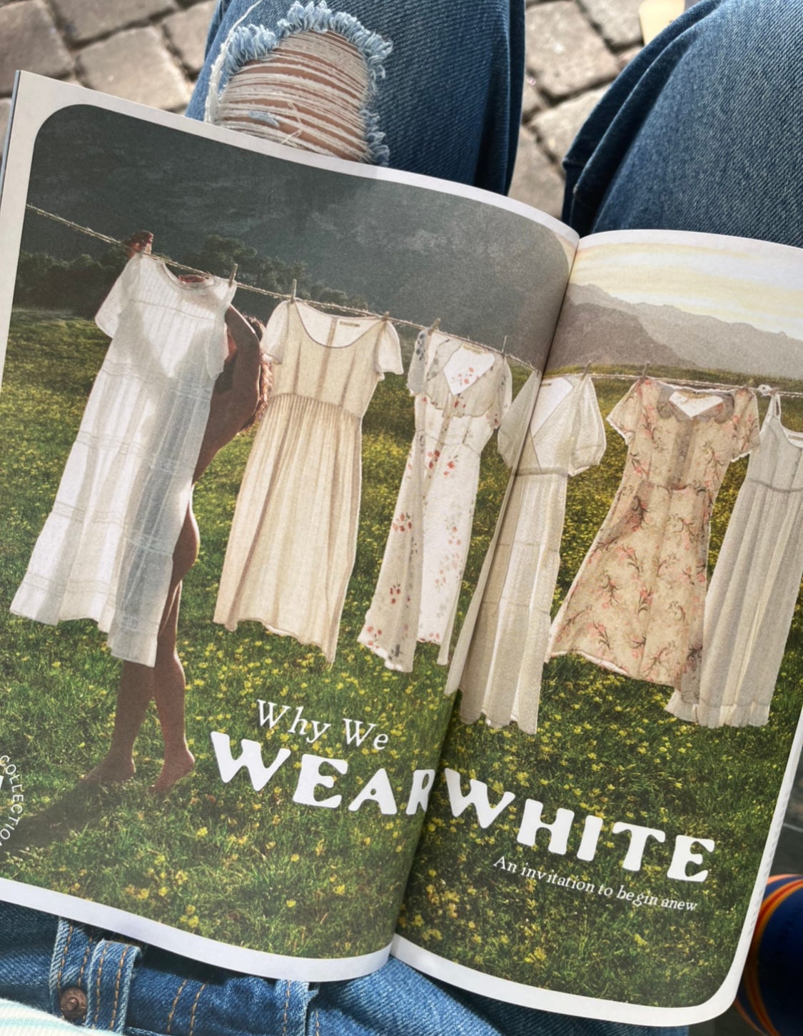 Manifest Destiny - by Meg Conley