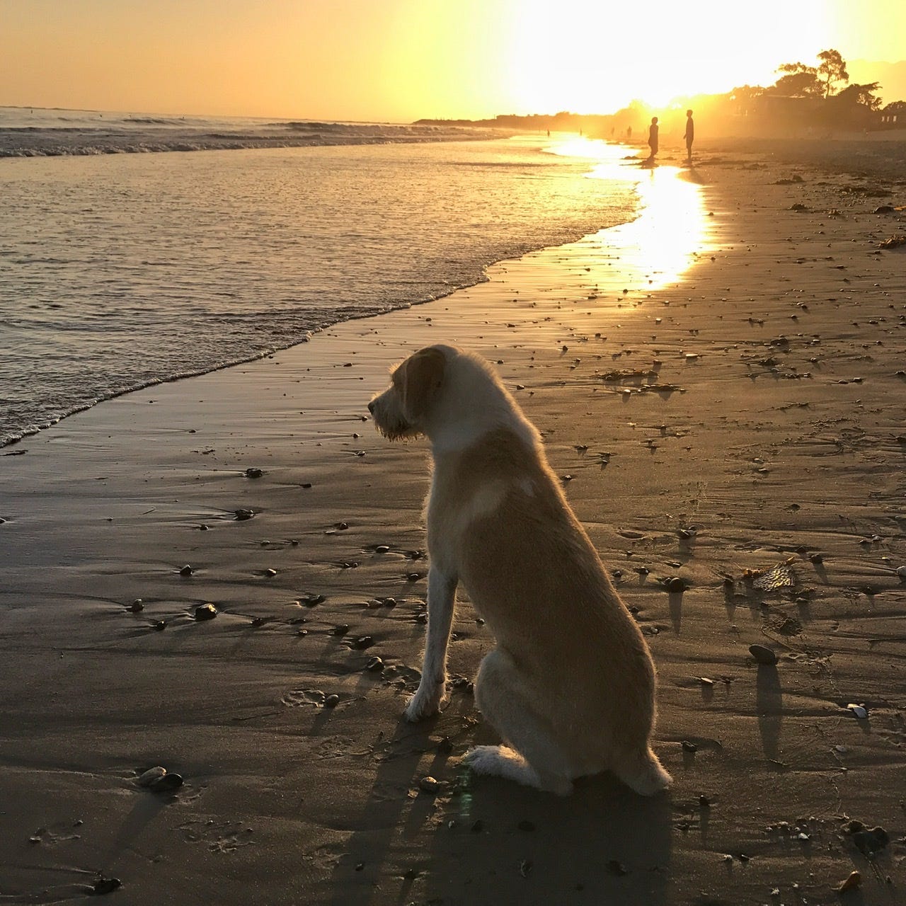 Atticus, Death, Regrets & Travel - Tom Ryan, Author