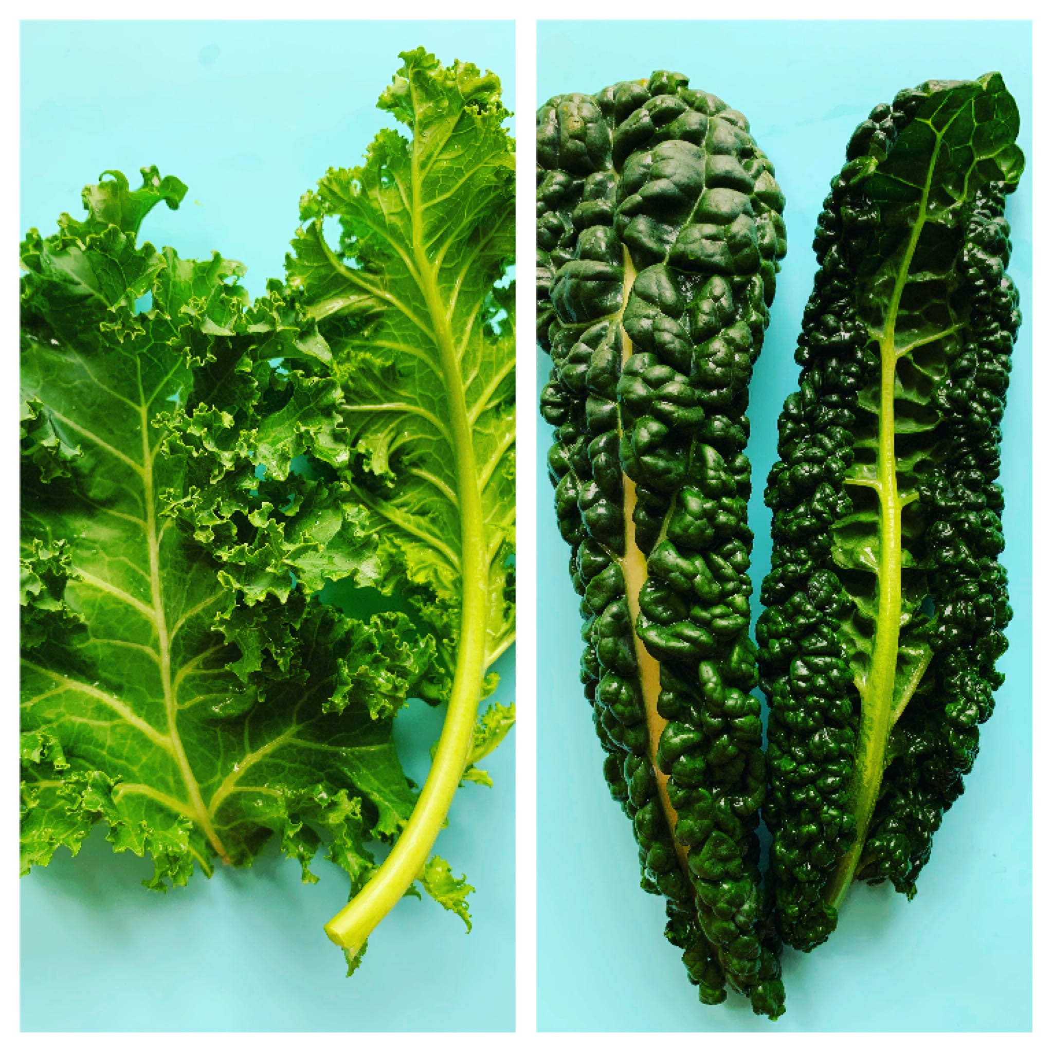 A Tale of Two Kale Salads - by emily nunn