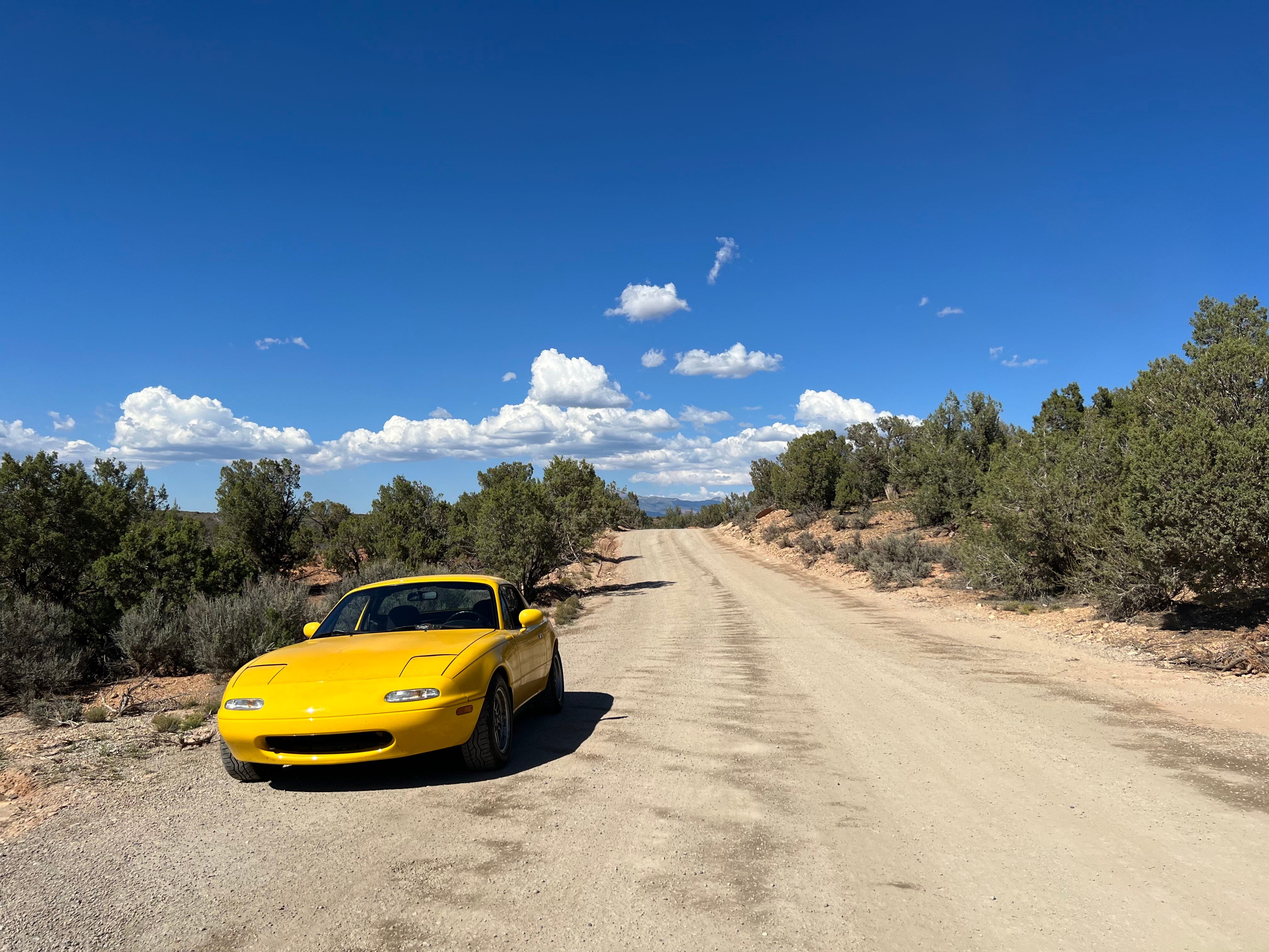 Fran Magazine: Best of 2022 Extravaganza - by Fran Hoepfner