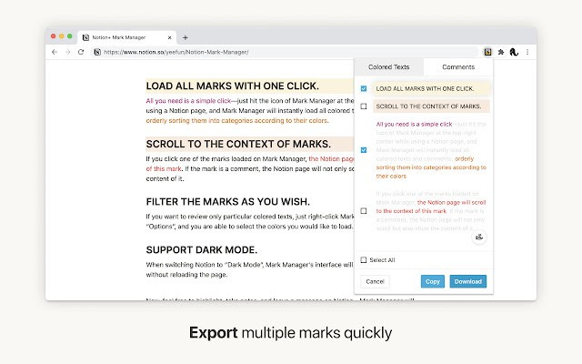 Extensiones para Notion — Mark Manager