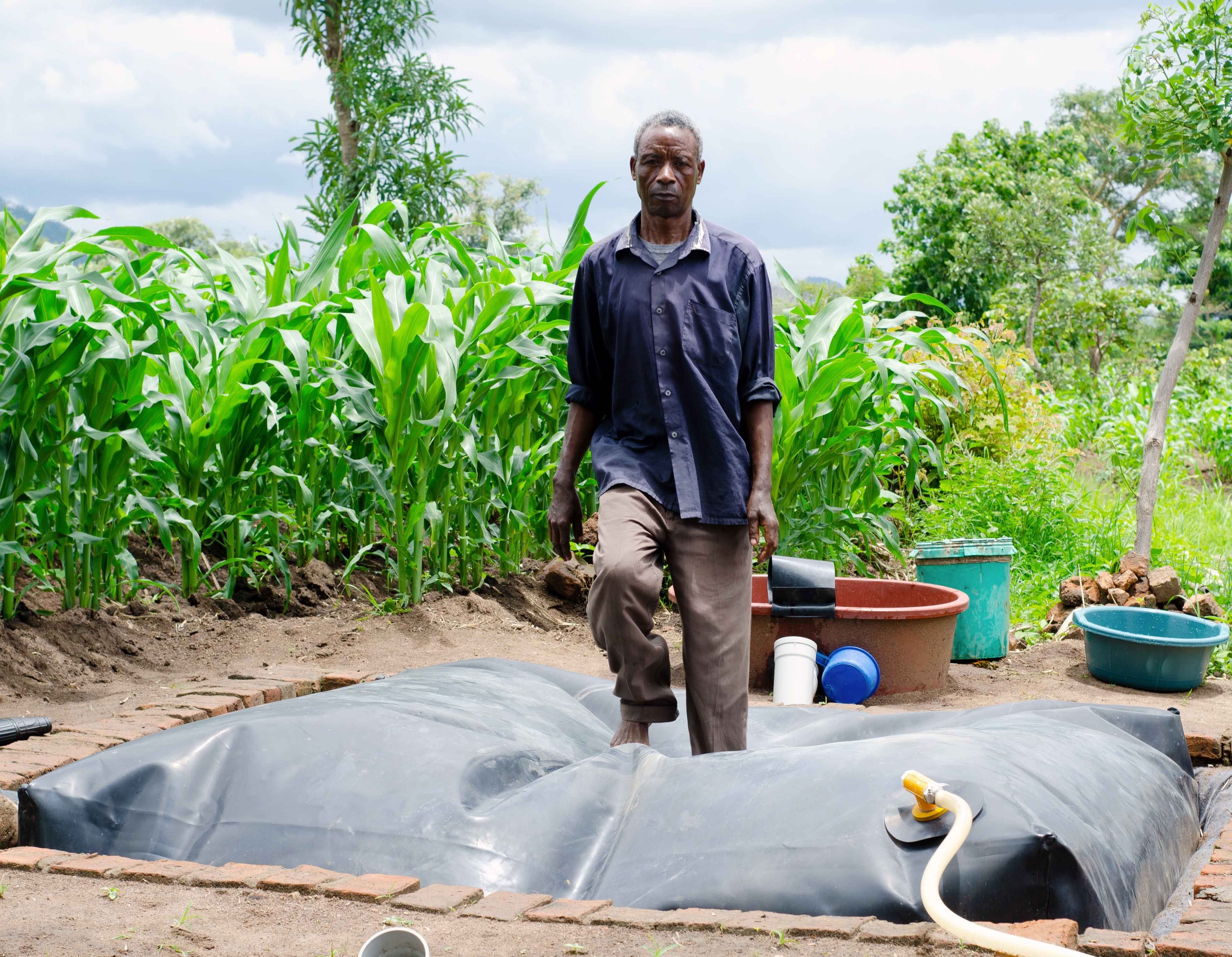 Next generation: Malawi farmer's son turns on the biogas tap