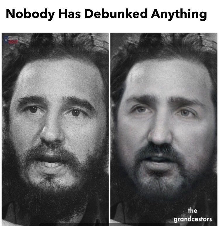 More Memes - by Amy Sukwan - Amy’s Newsletter