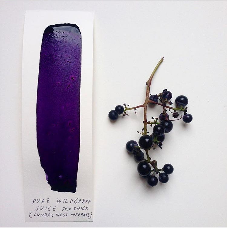 Wild Grapes - by Toronto Ink Company