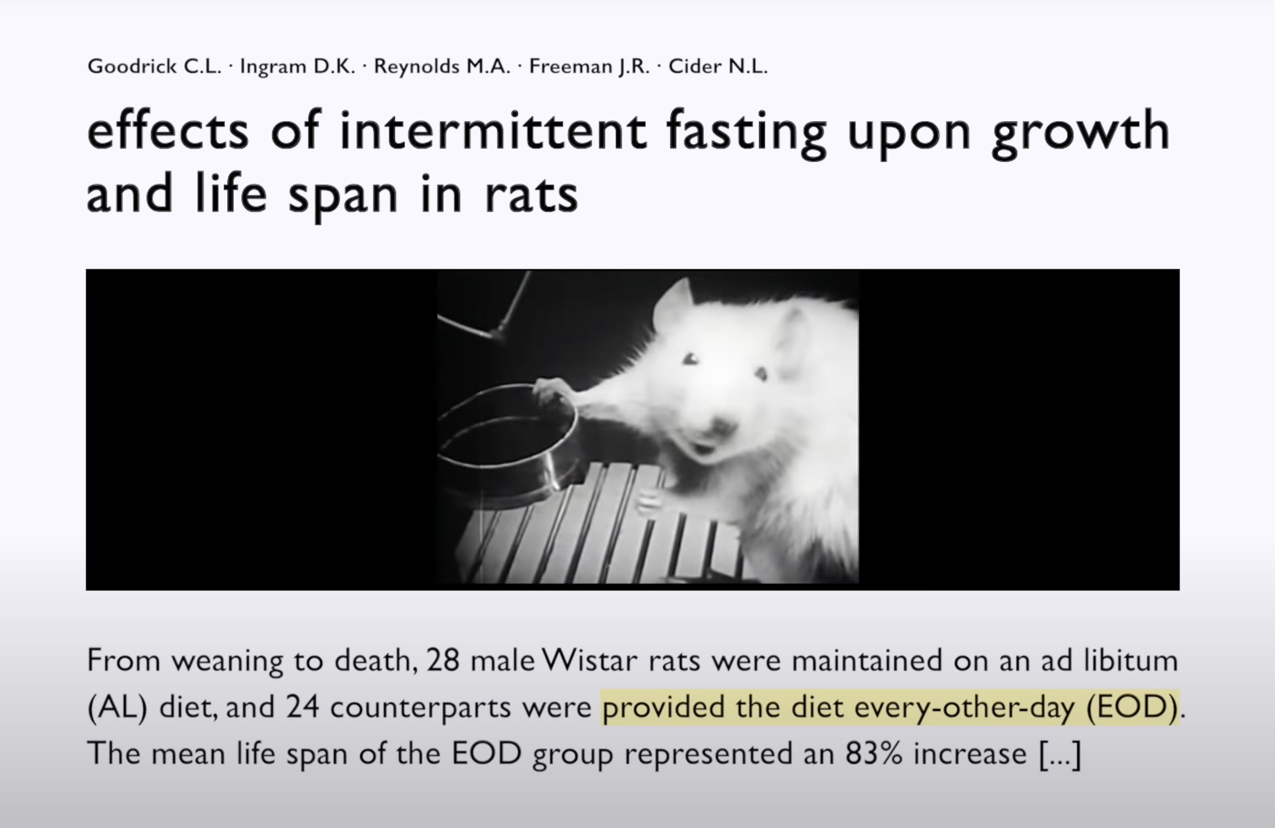 Intermittent Fasting, explained. Dieting, longevity, and rats.
