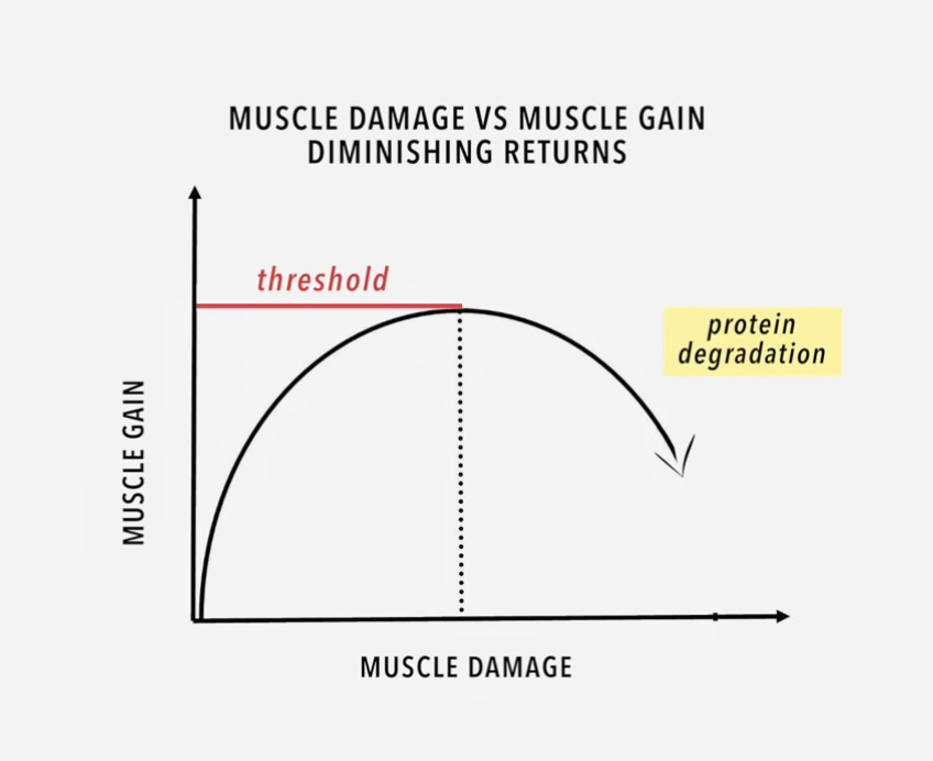 DOMS, explained. No pain, no gain debunked.