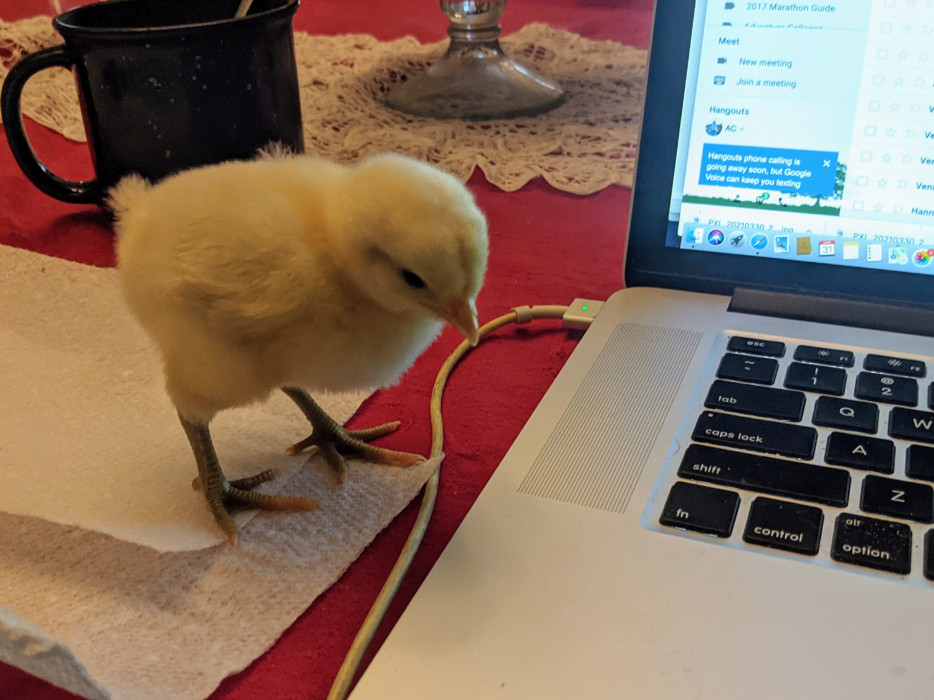 Your flock is bigger than you think - by AC Shilton