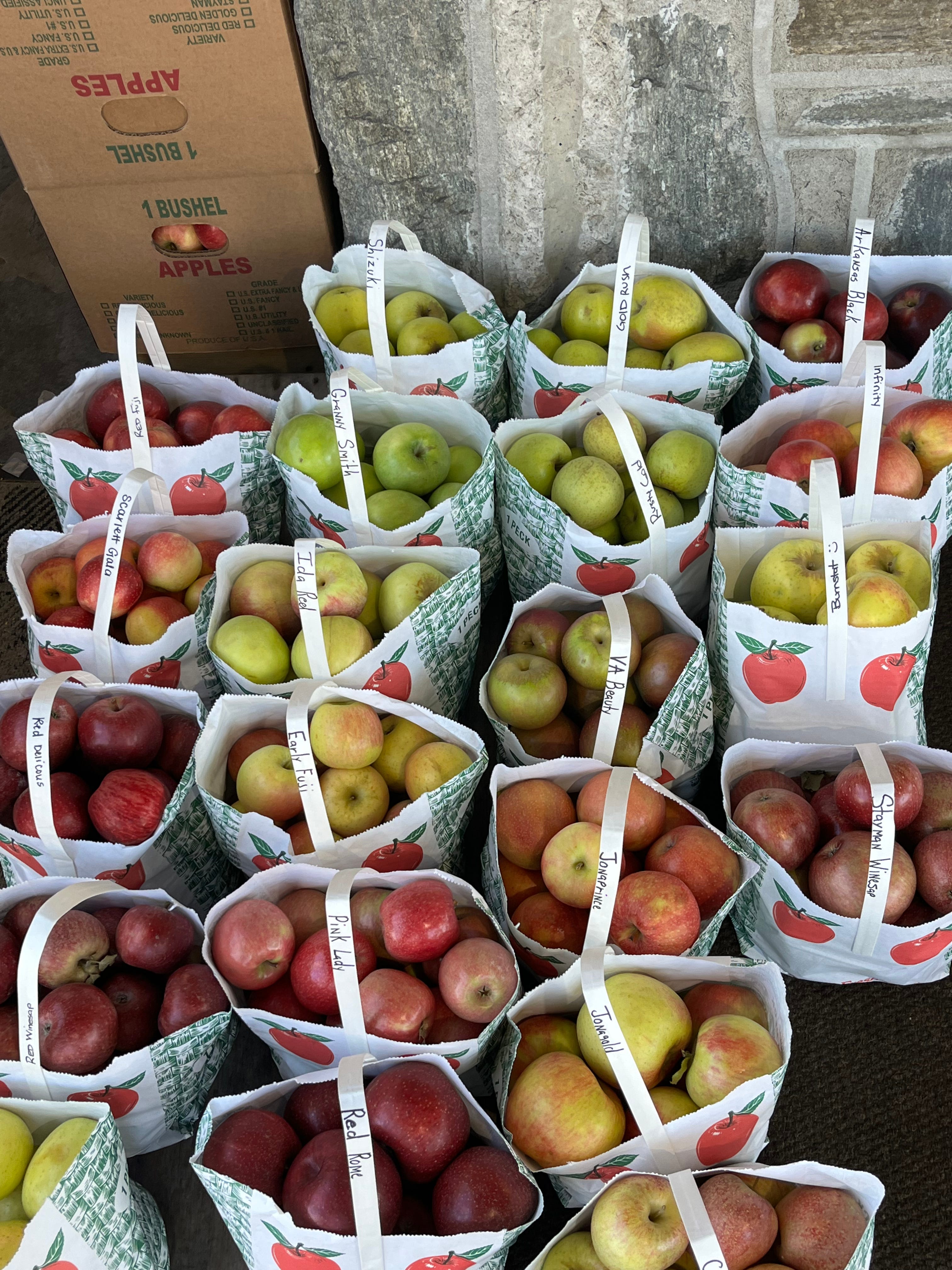 Charlotte, Dopamine, and This - by Kayleigh Ruller