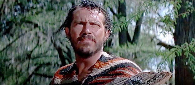 Warren Oates - The Brown-Dirt Cowboy - by Richard Luck