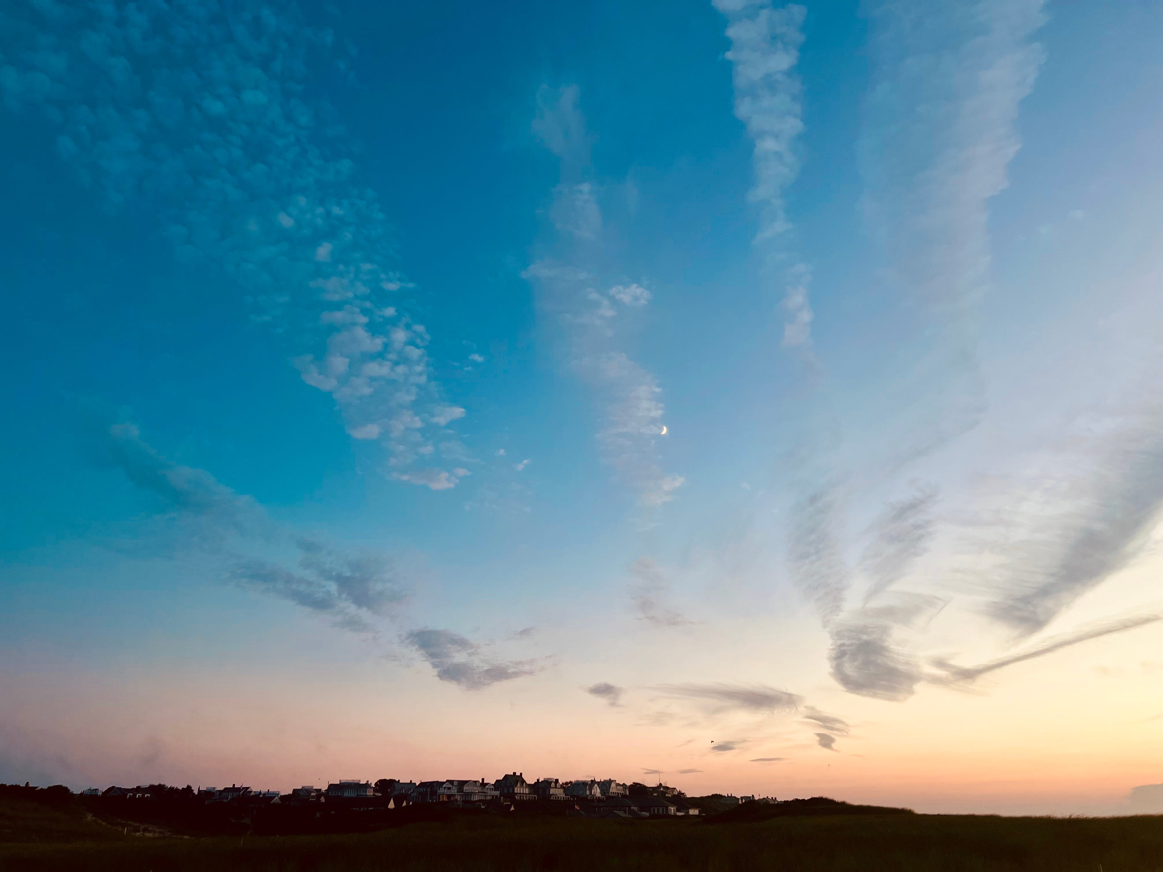 Dispatch from Nantucket - by Jesus Rodriguez - Alienhood