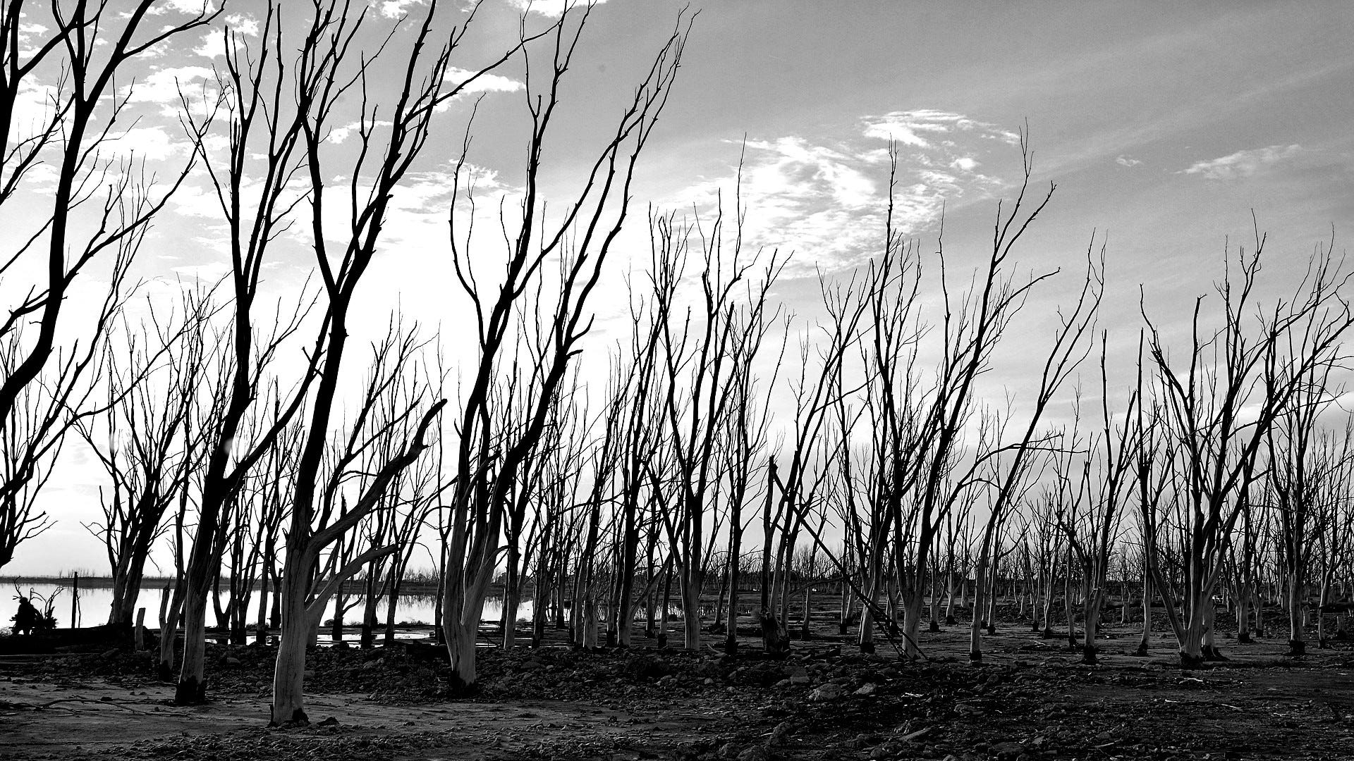 Empezar por el final - by Javier Saul - Lunes