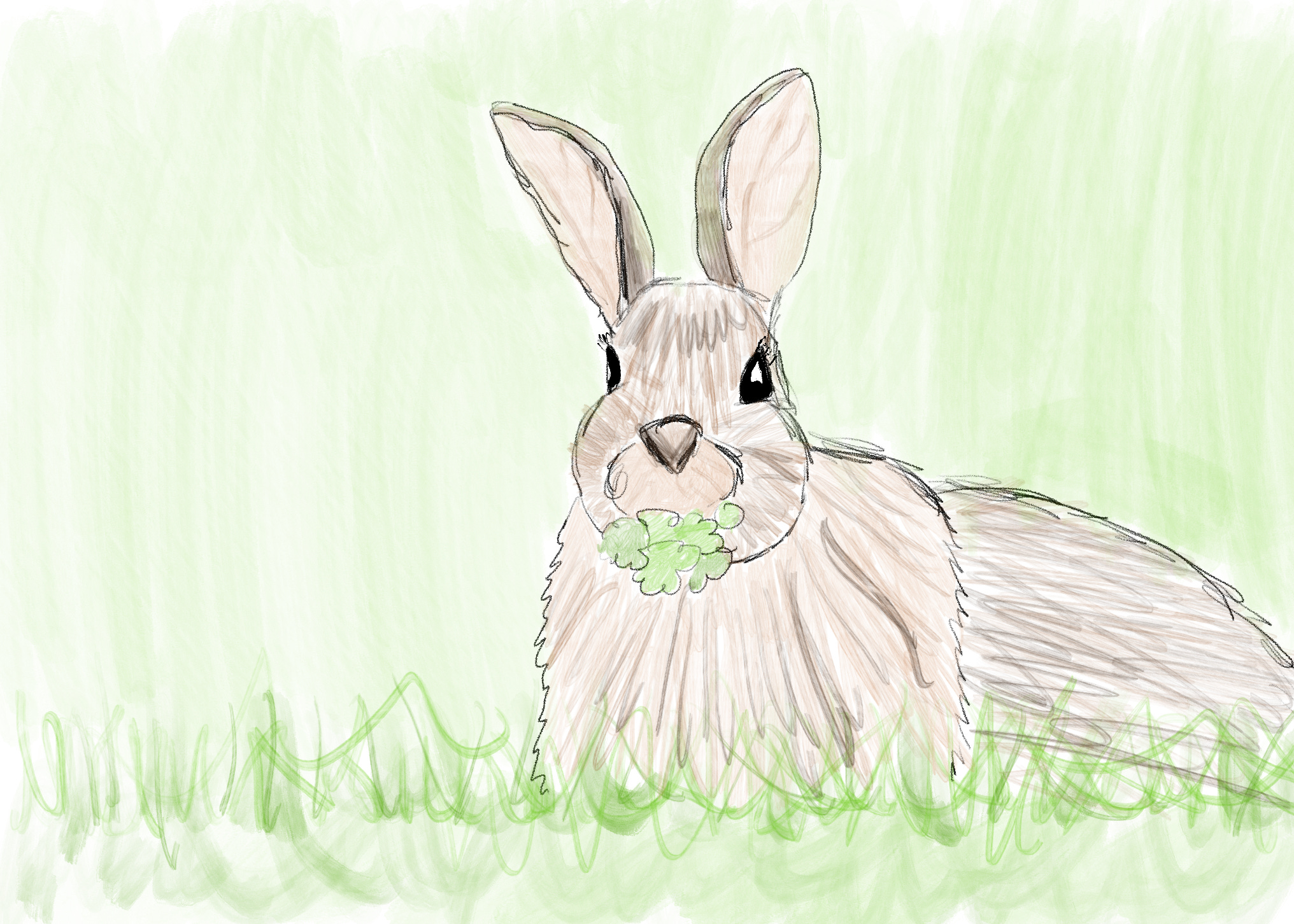 98: Cottontail Rabbits - by Bix - Colorado Wildlife