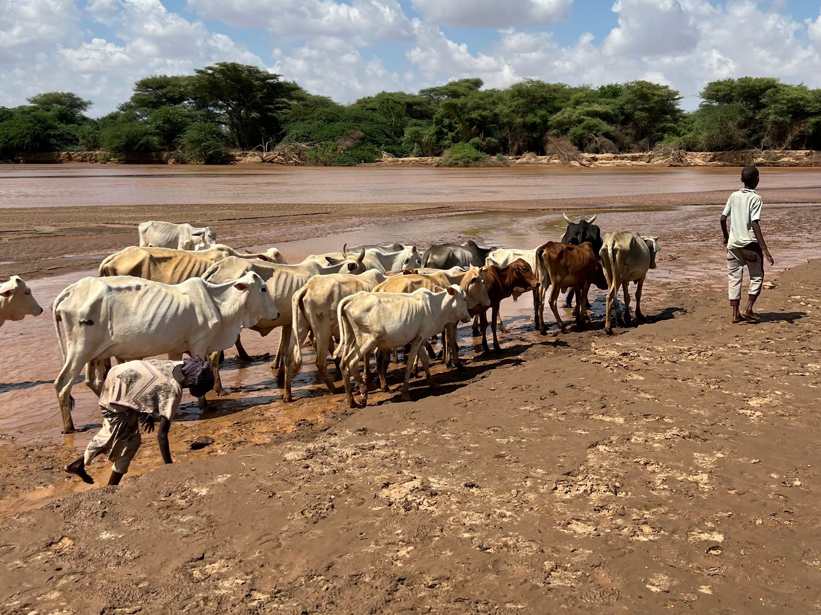 “Sogno la pioggia ogni notte” - by Nicolas Lozito