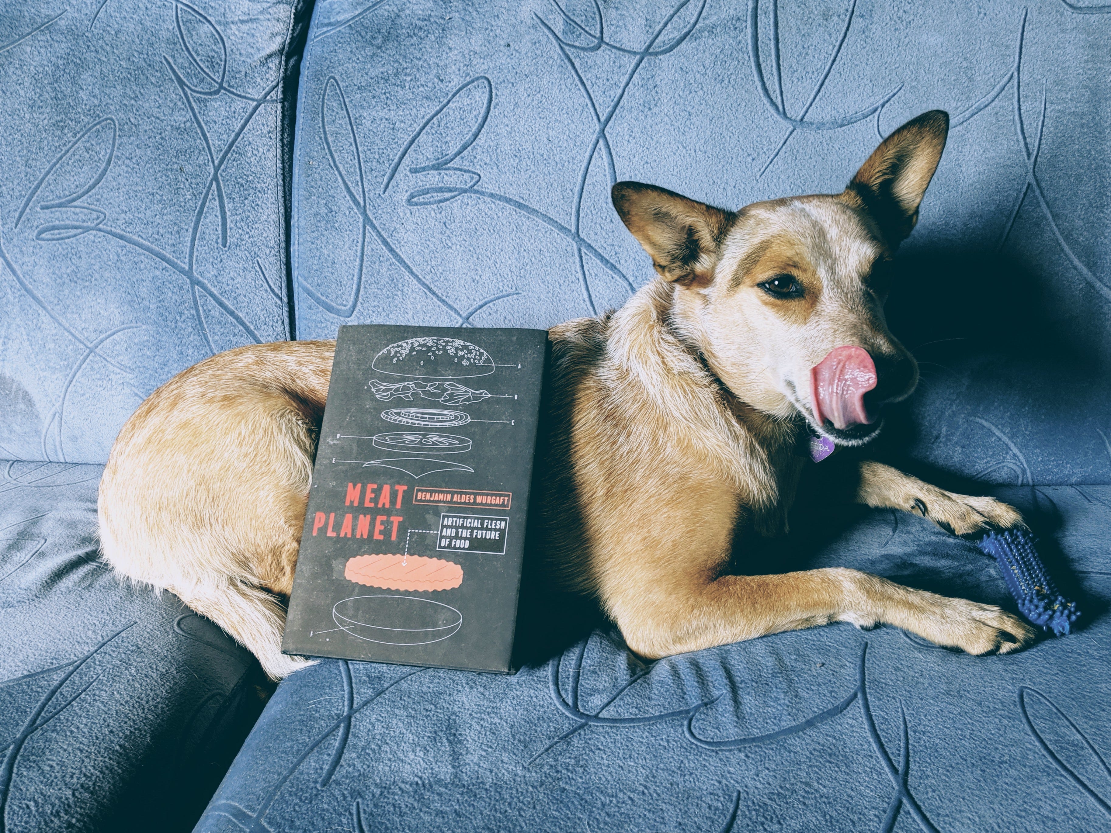 Happy Feet (2006) - by Kat Eschner - The Quick Fox