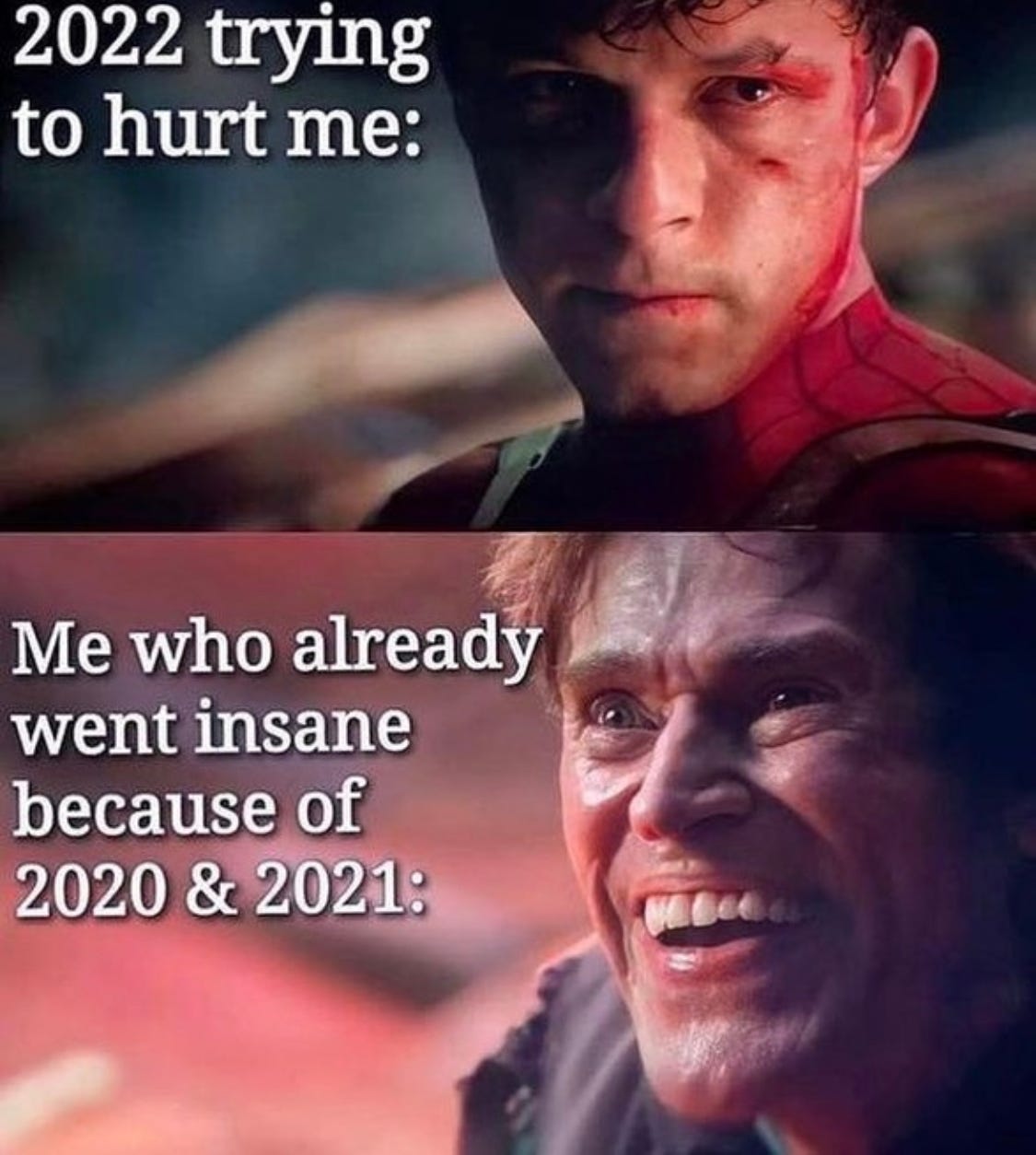 Best memes of the Week - by Tyler Zed - The Zed Letter