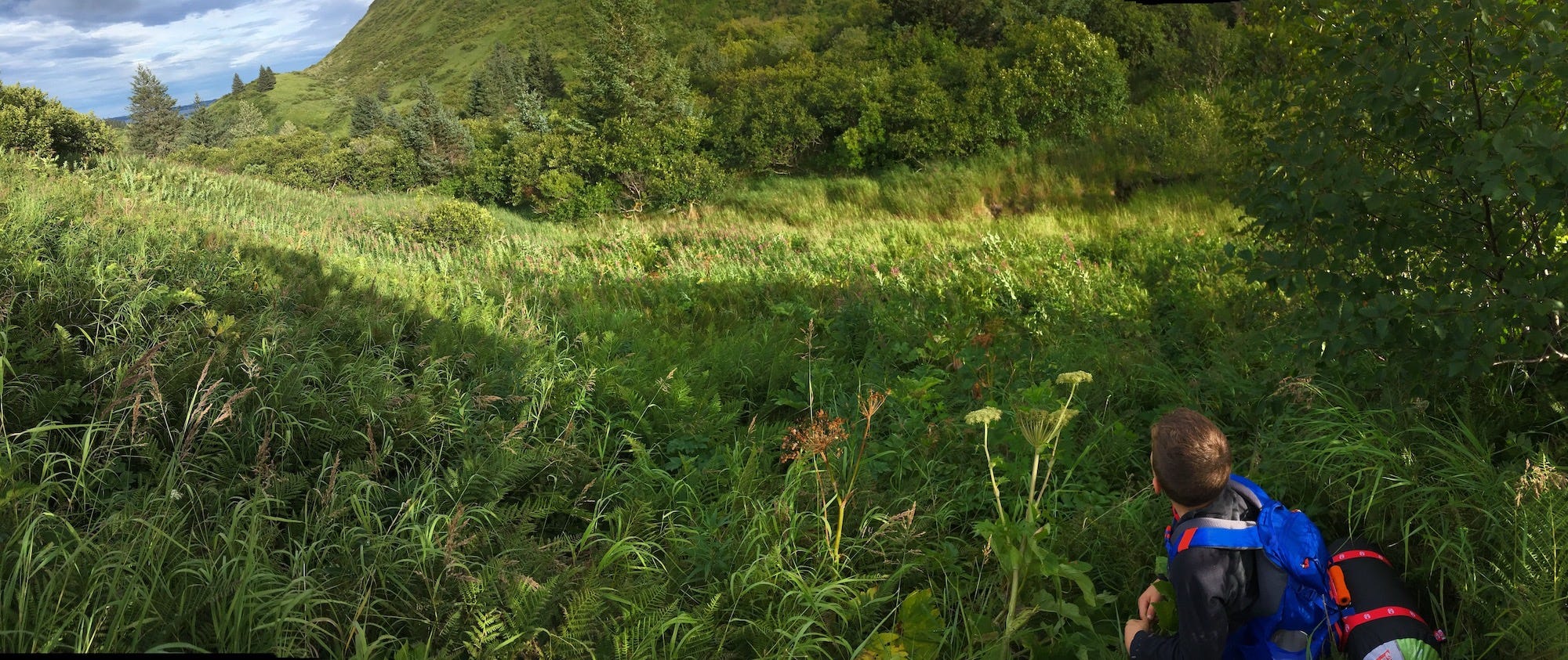 1. The Trail Begins - by Damon Hargraves