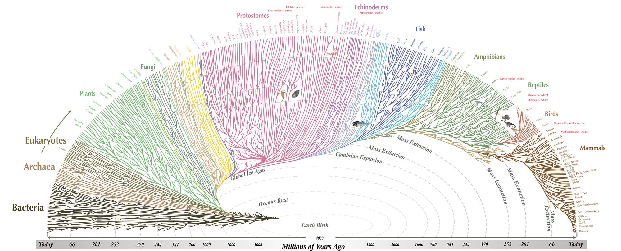 Knowledge structures - by Gordon Brander - Squishy Computer