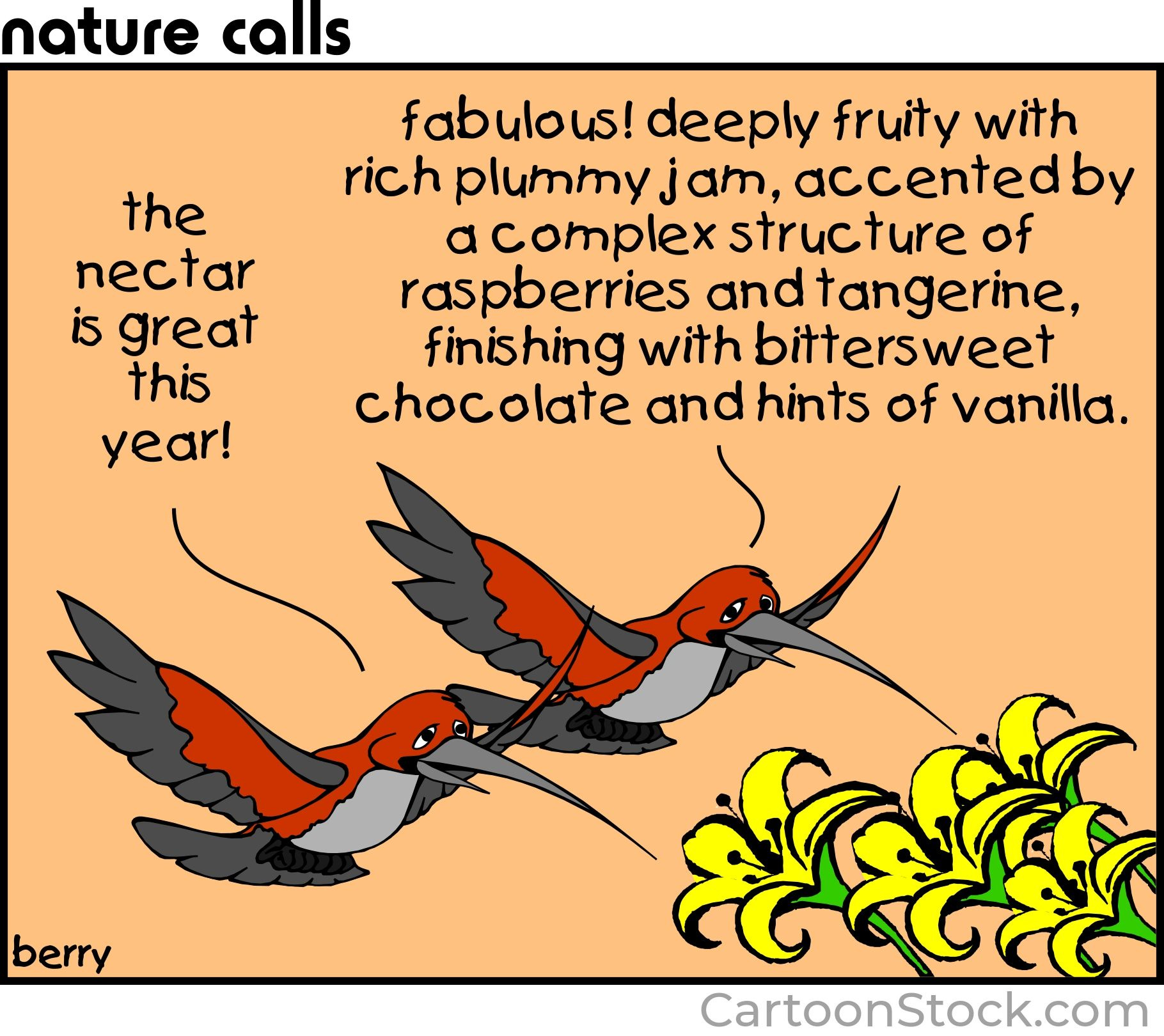 How Can I Lure Hummingbirds Every Day with Shade Loving Flowers?