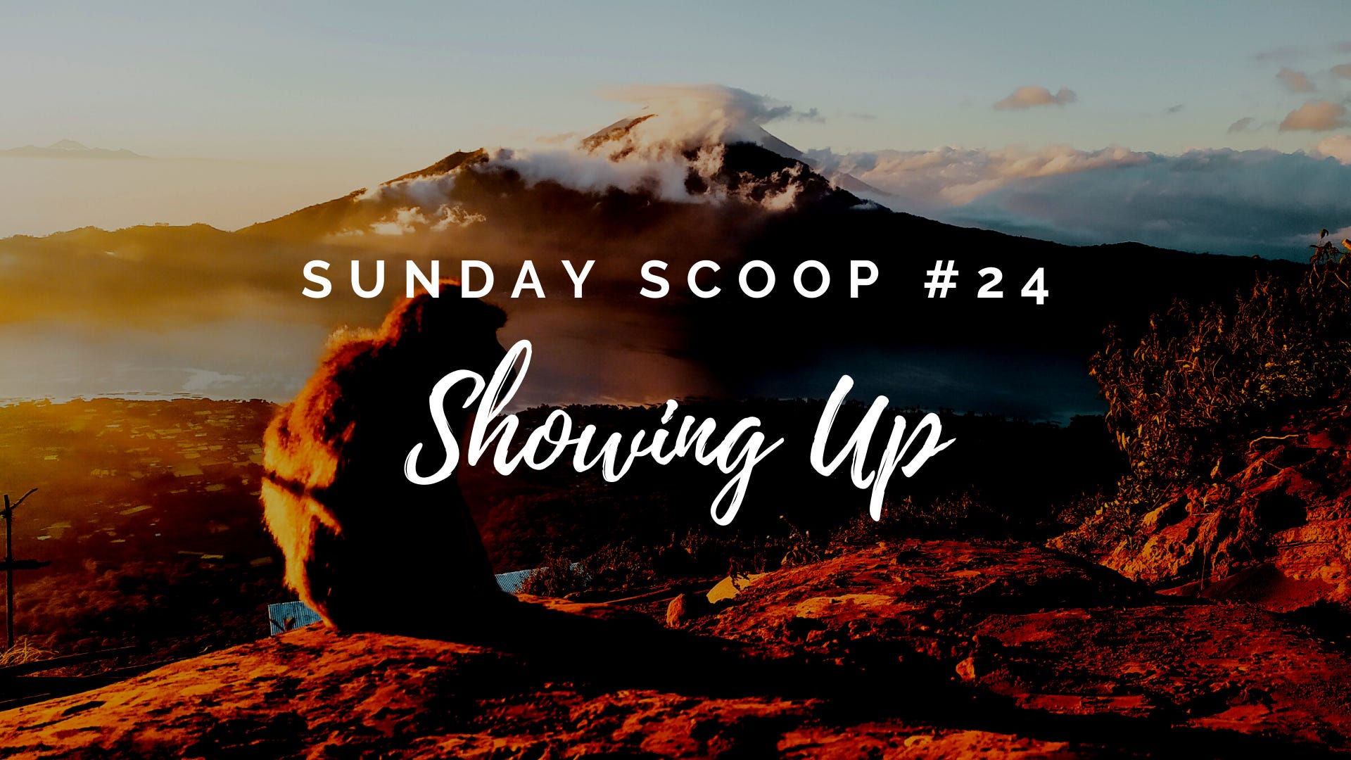 👑Consistency is King - by Jia Shing - Sunday Scoop