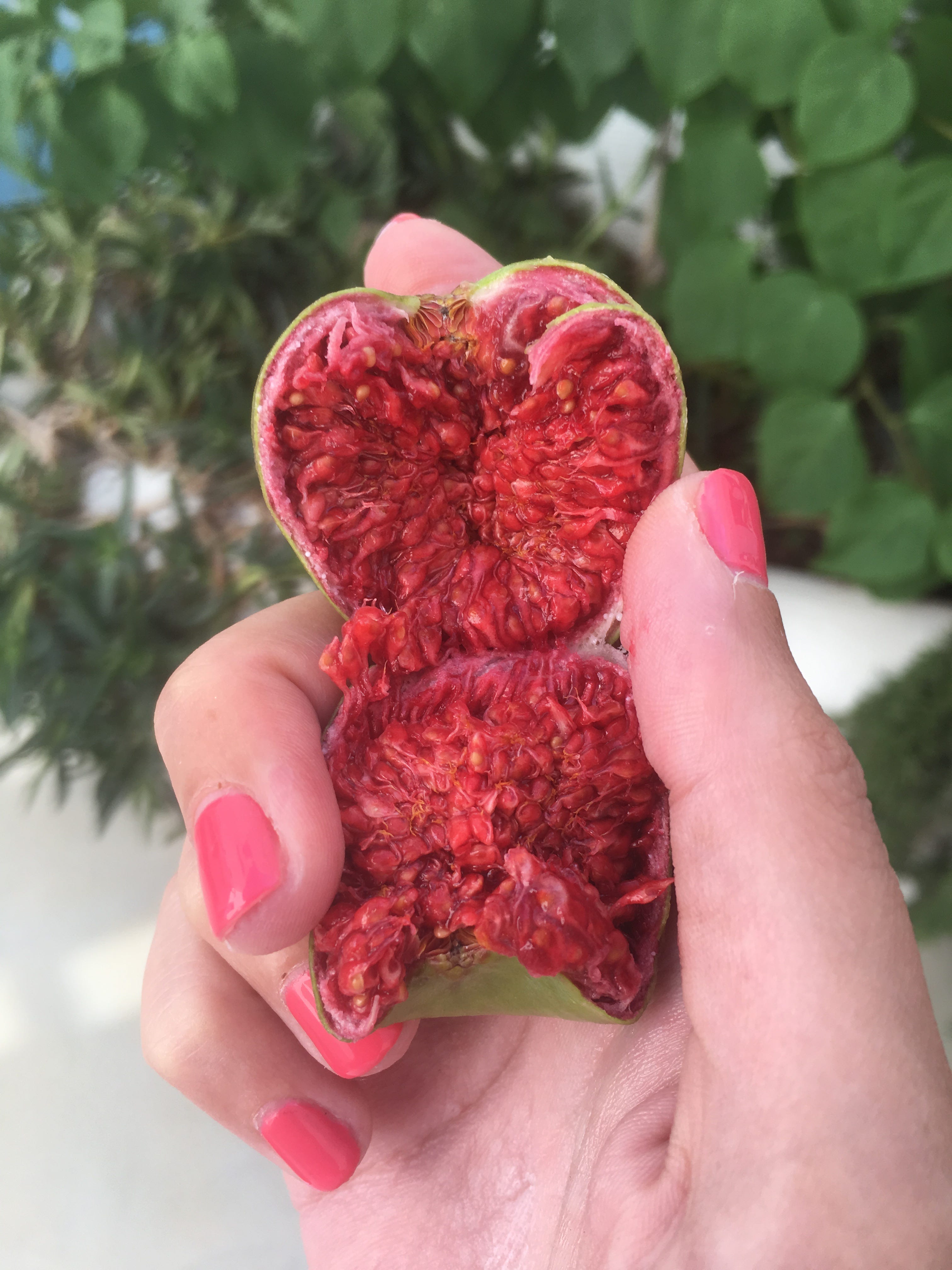 A orillas del mar 🌊 - by Beatriz Serrano - Massolit 101