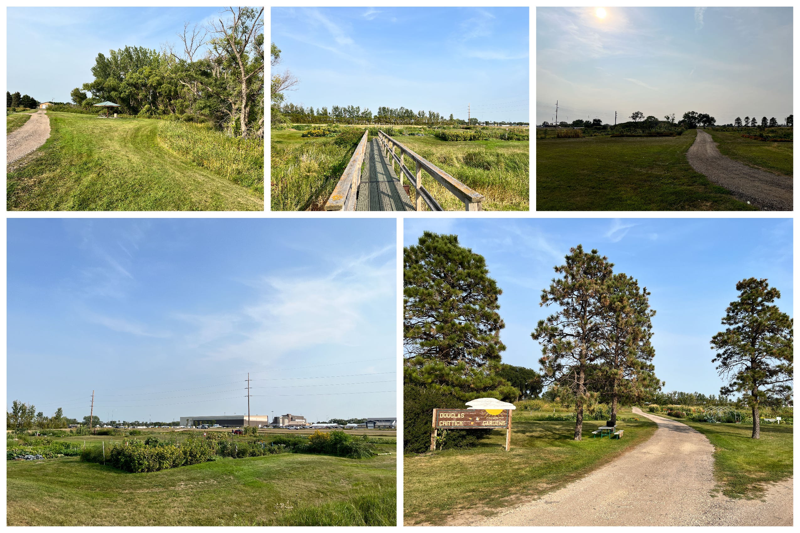 Sand Golf: A Relic of the Past - by Addison DeHaven