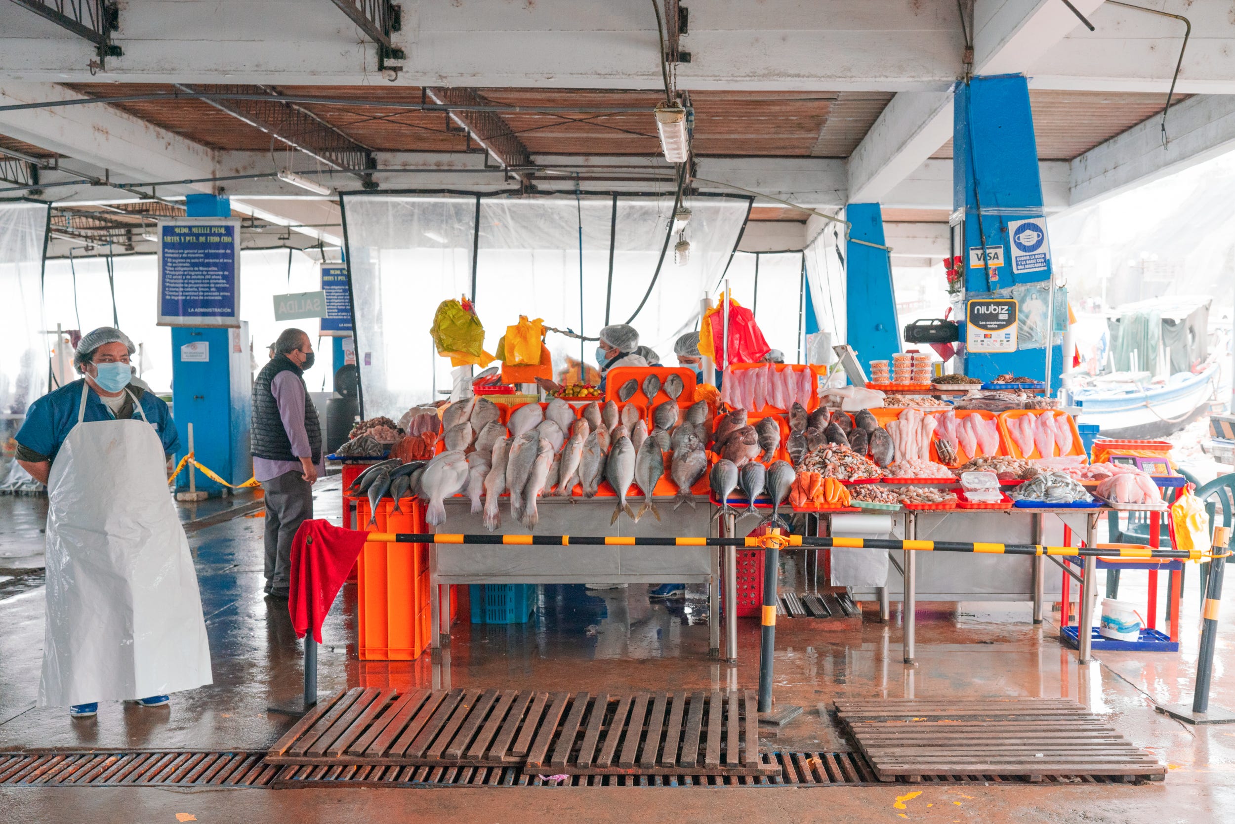 A Day in the Life at Chorrillos Fish Market in Lima
