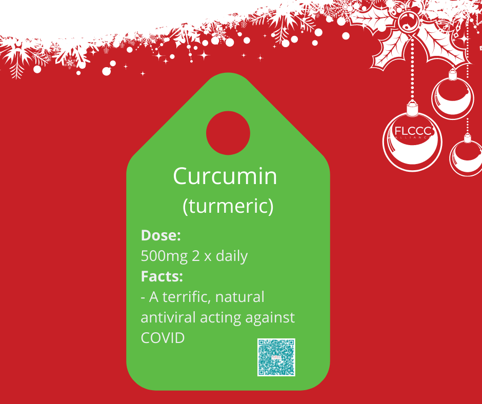 FLCCC’s Healthy Holiday Gift Guide