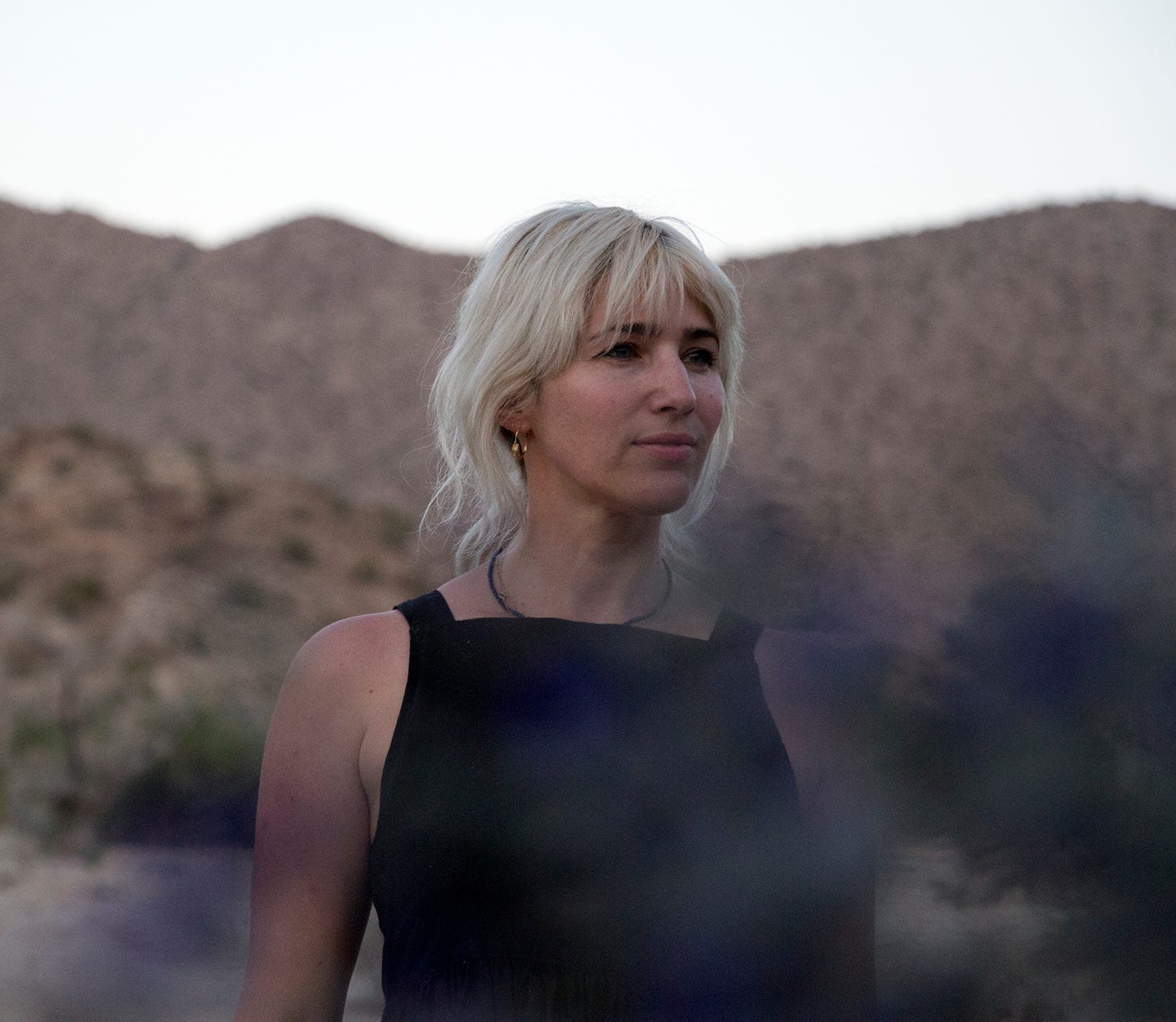 Rebecca J Altman | Substack