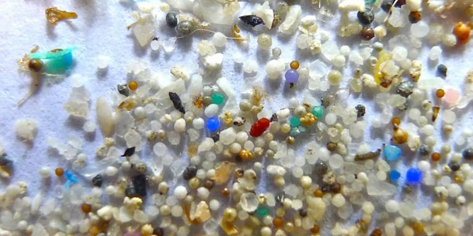Microplastics found in human blood: study