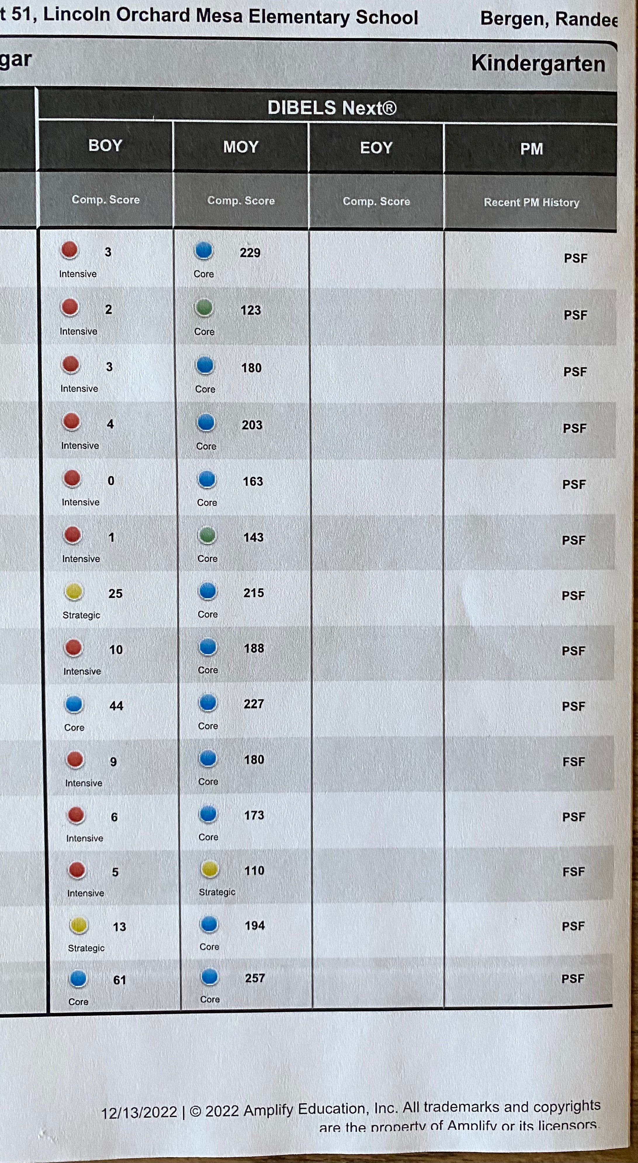 27 of 28 At or Above Level on Mid-Year DIBELS