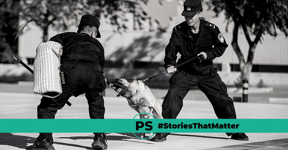 Stories That Matter: How a Multimedia Investigation Changed Police Dog ...