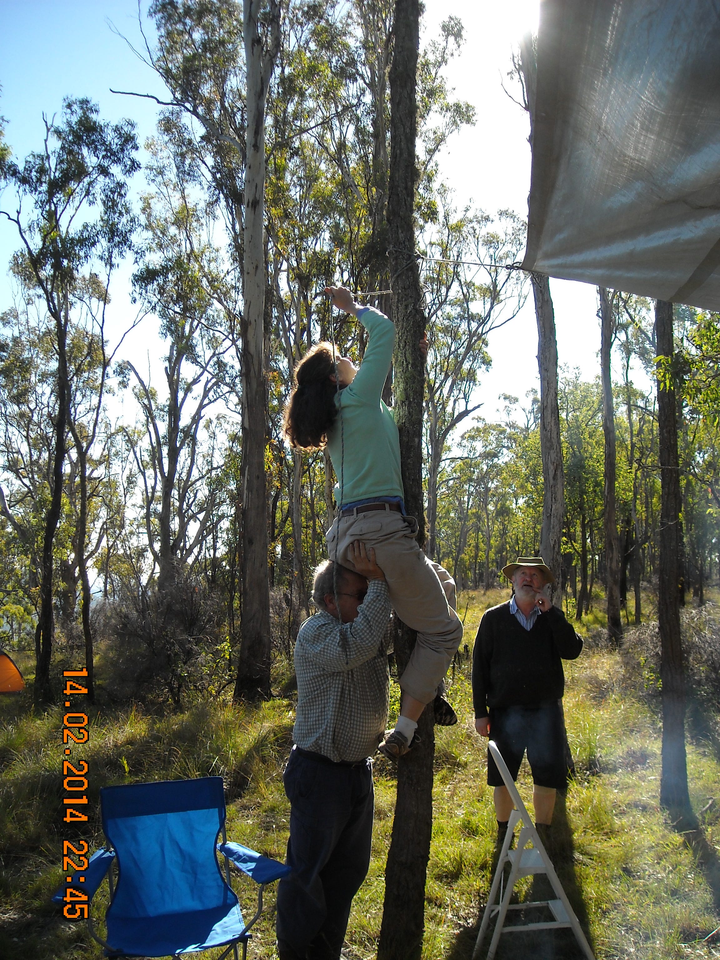 The early story of the VAQ - by Patrick Durack