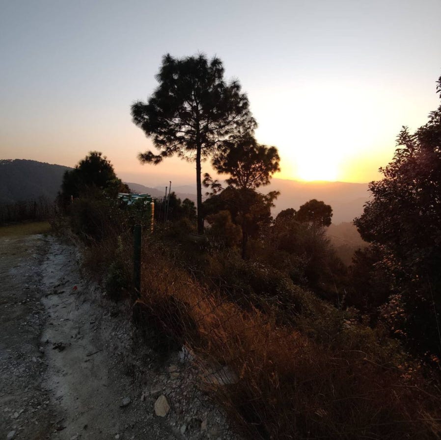 Indian Saree Brands I love on Instagram