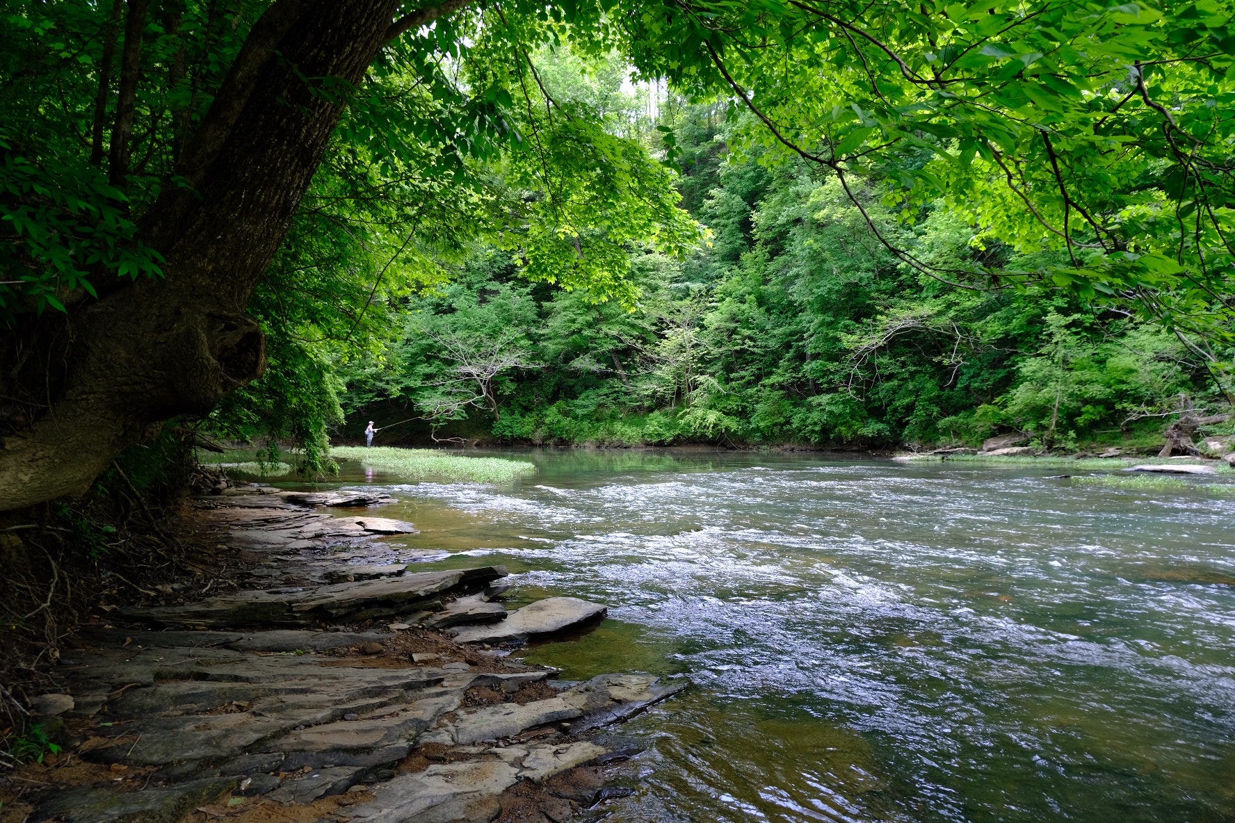 Ready for Launch - by Halley Cotton - The Cahaba Project