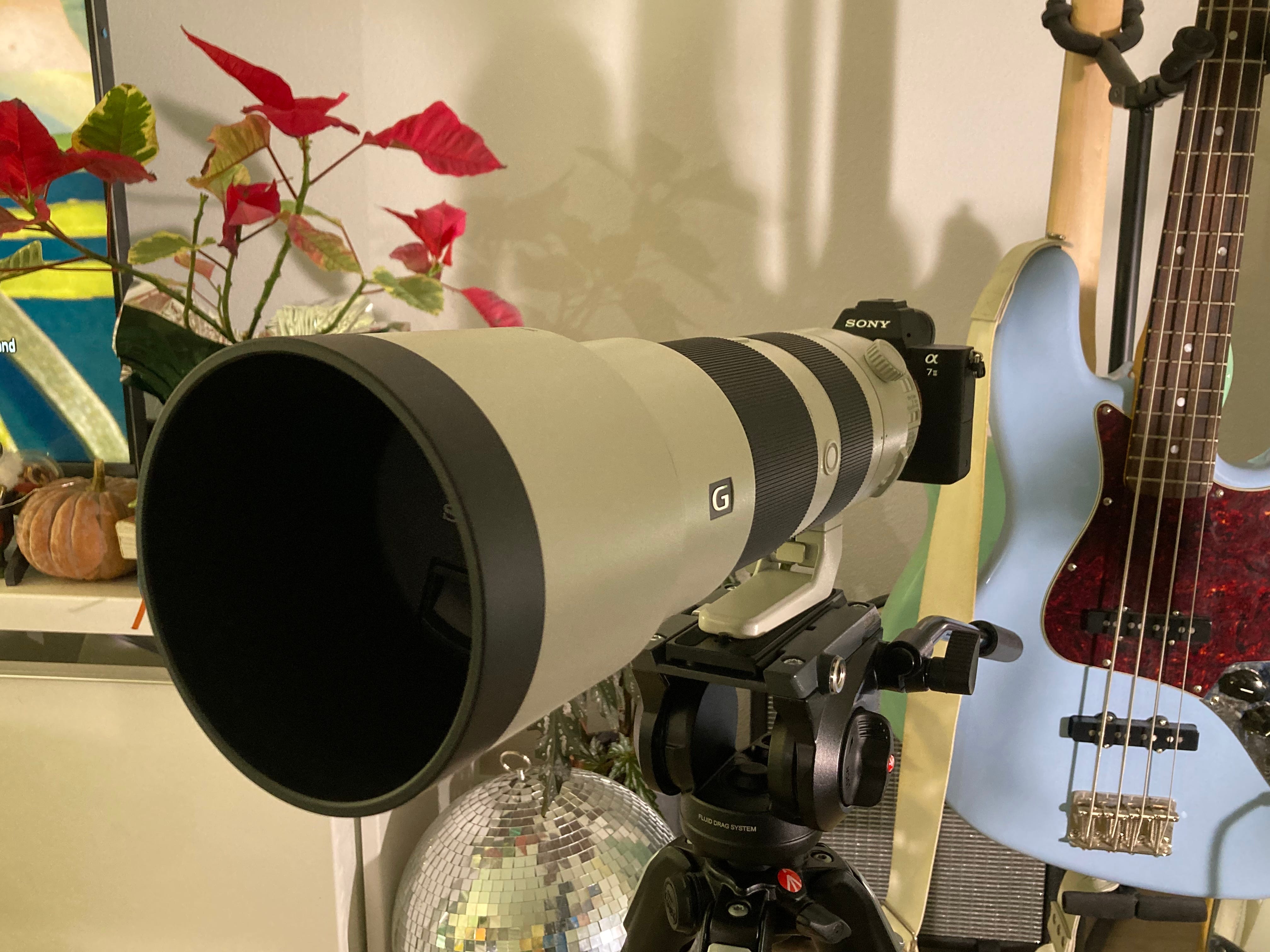 New Big Boinker Alert - Mother Chukar