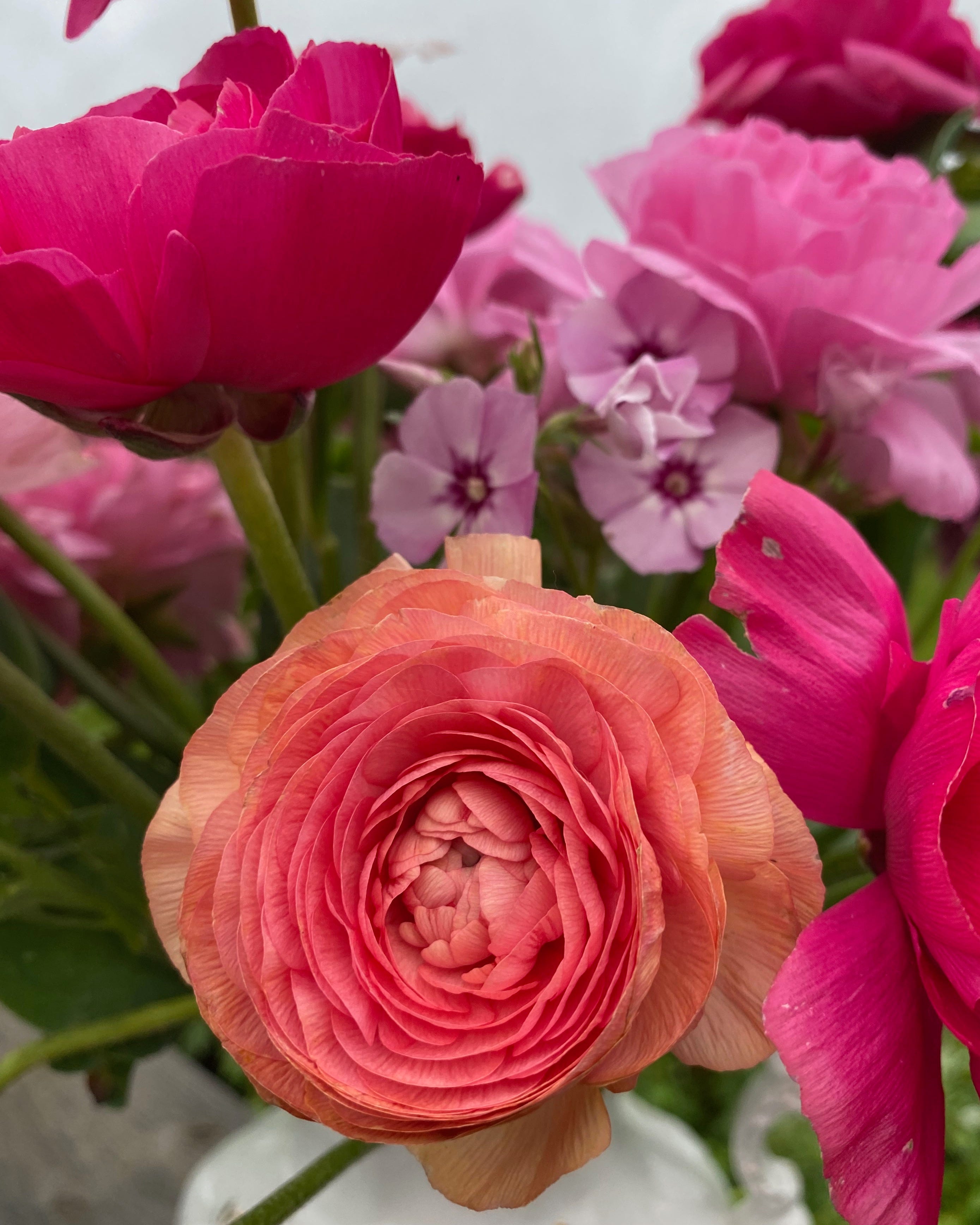 About - Necessary Judgements with Christy Isinger